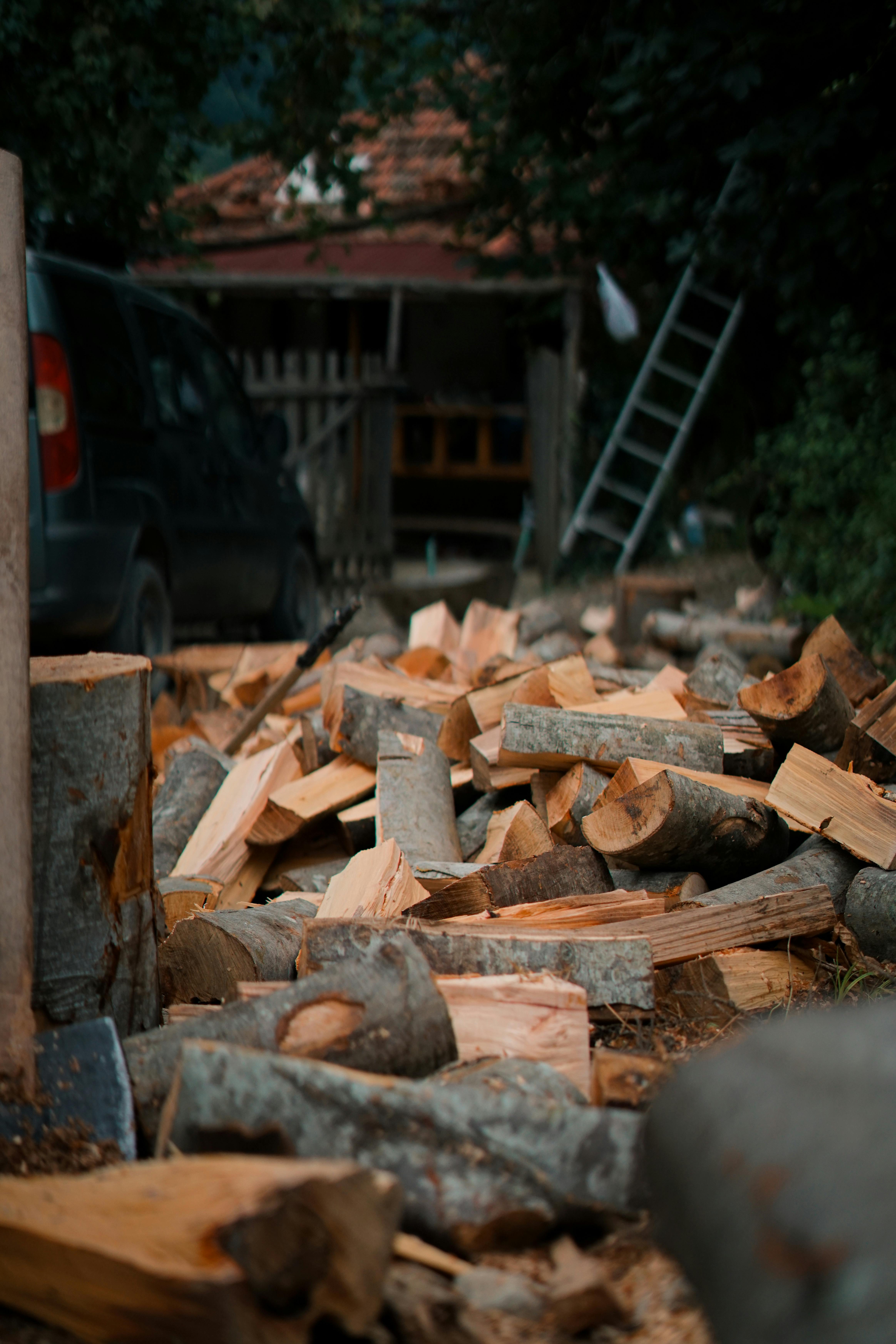 Saw Fallen Photos, Download The BEST Free Saw Fallen Stock Photos & HD ...