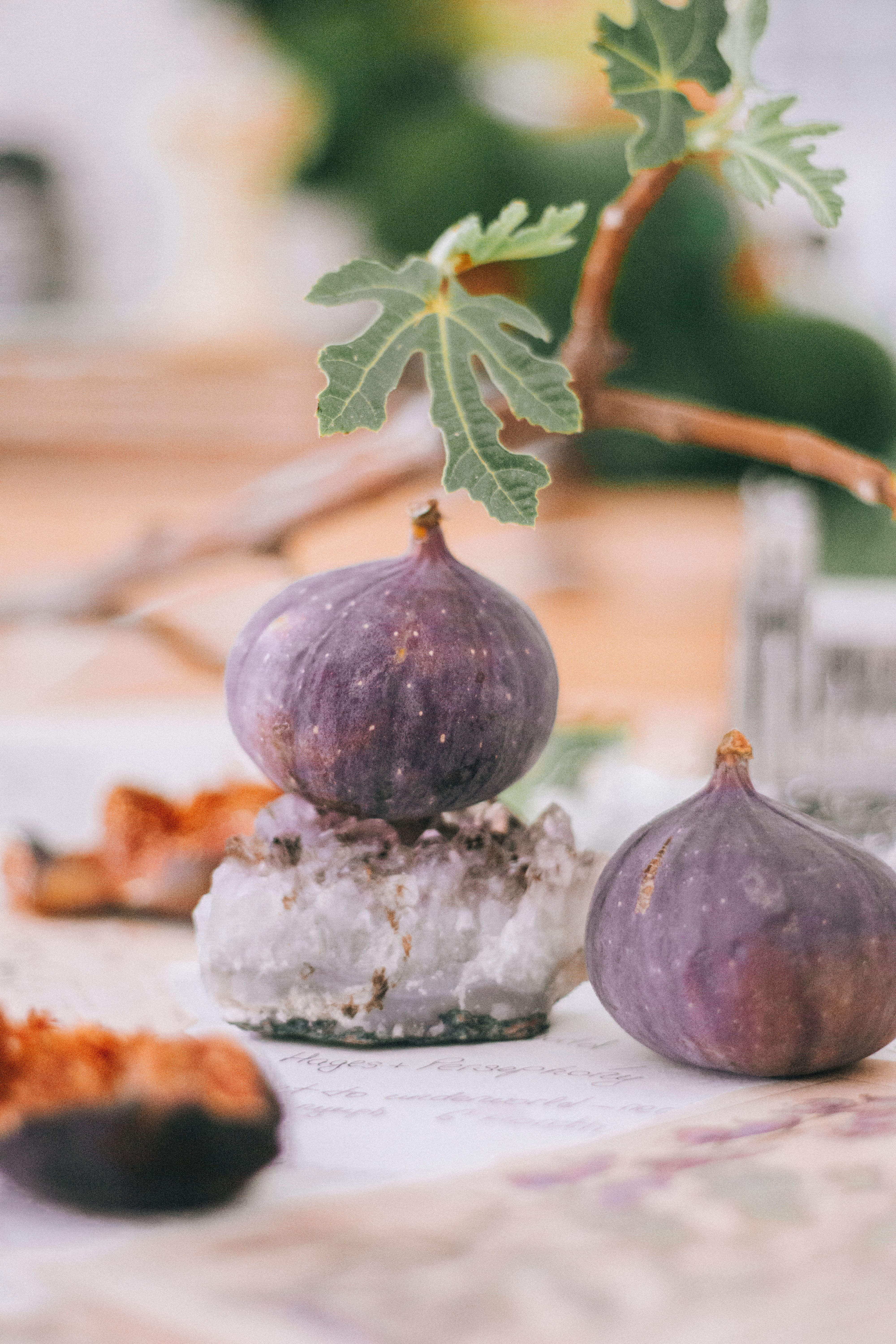 Figs on a table with a small plant on top · Free Stock Photo