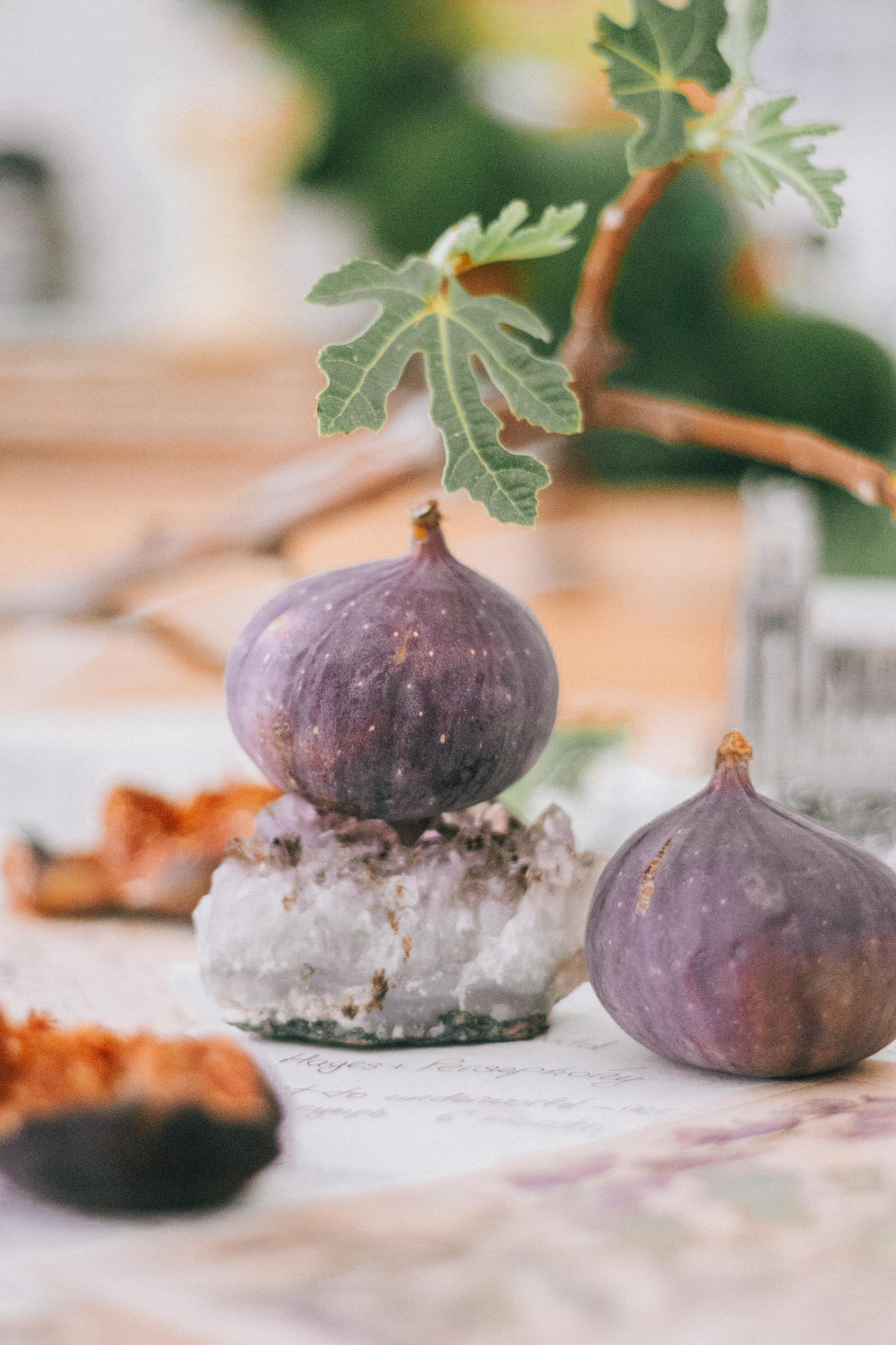 Fig Tree Photos, Download The BEST Free Fig Tree Stock Photos & HD Images