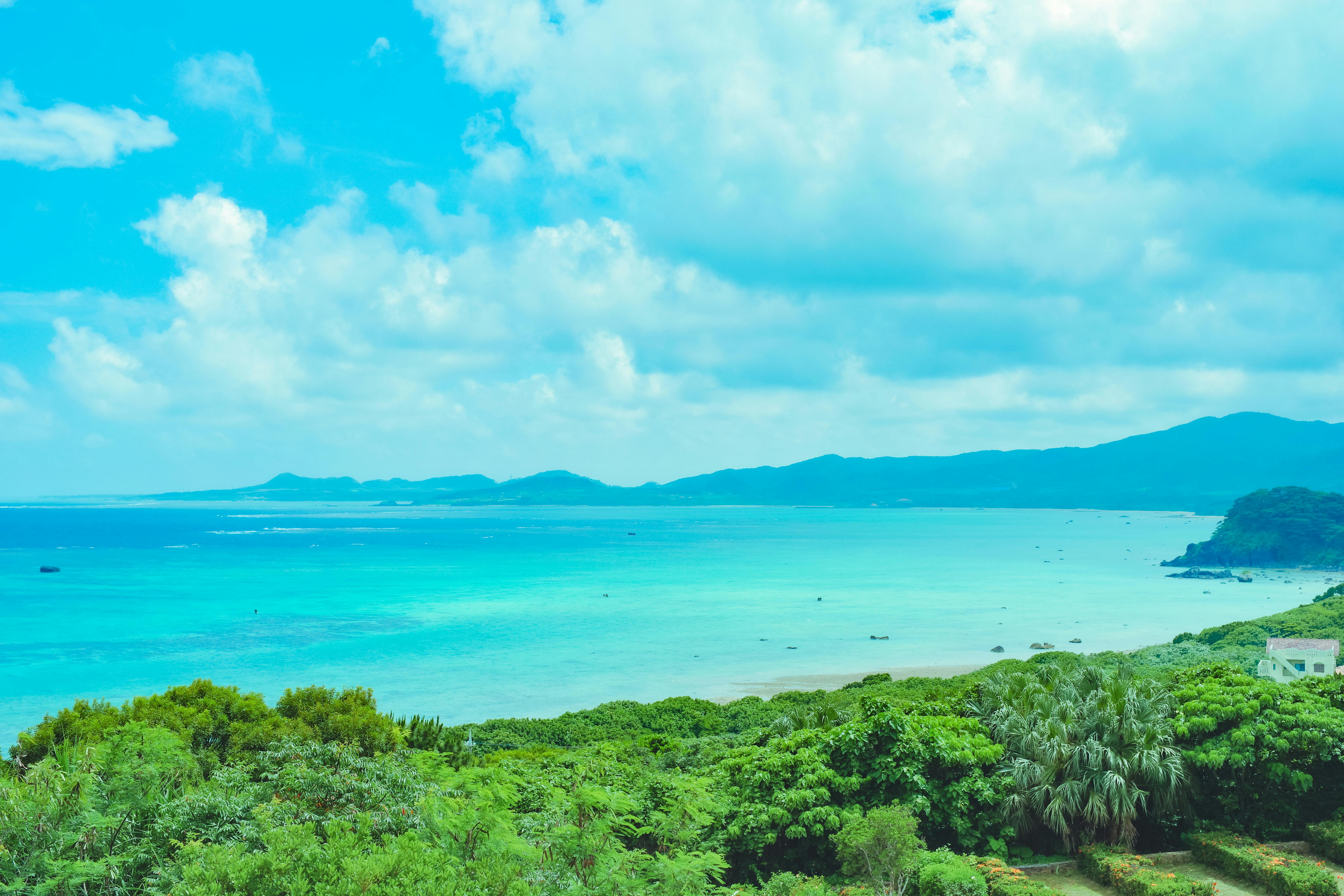 Takuya Sakamoto - 摄影