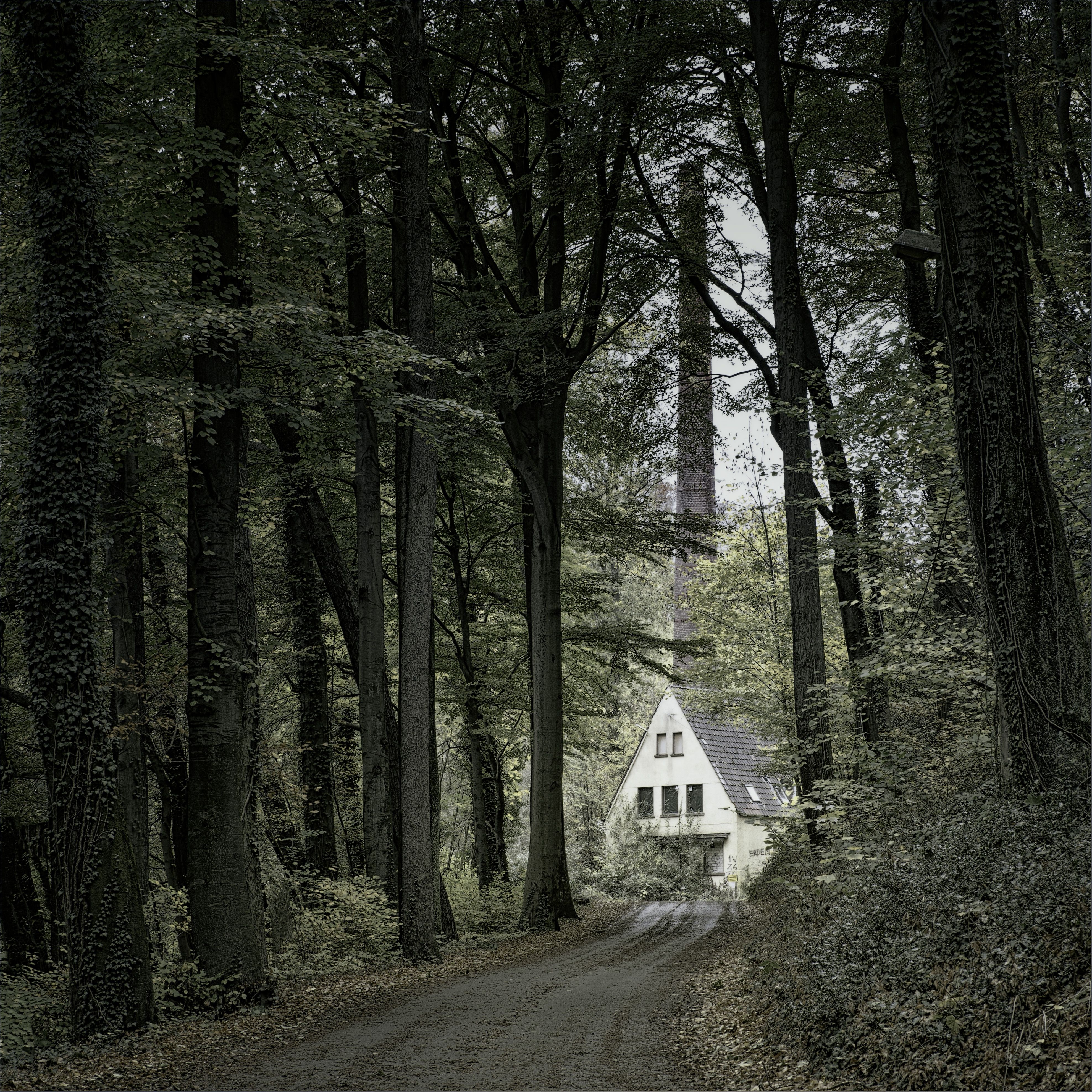 70,000+ Best House Images · 100% Free Download · Pexels Stock Photos