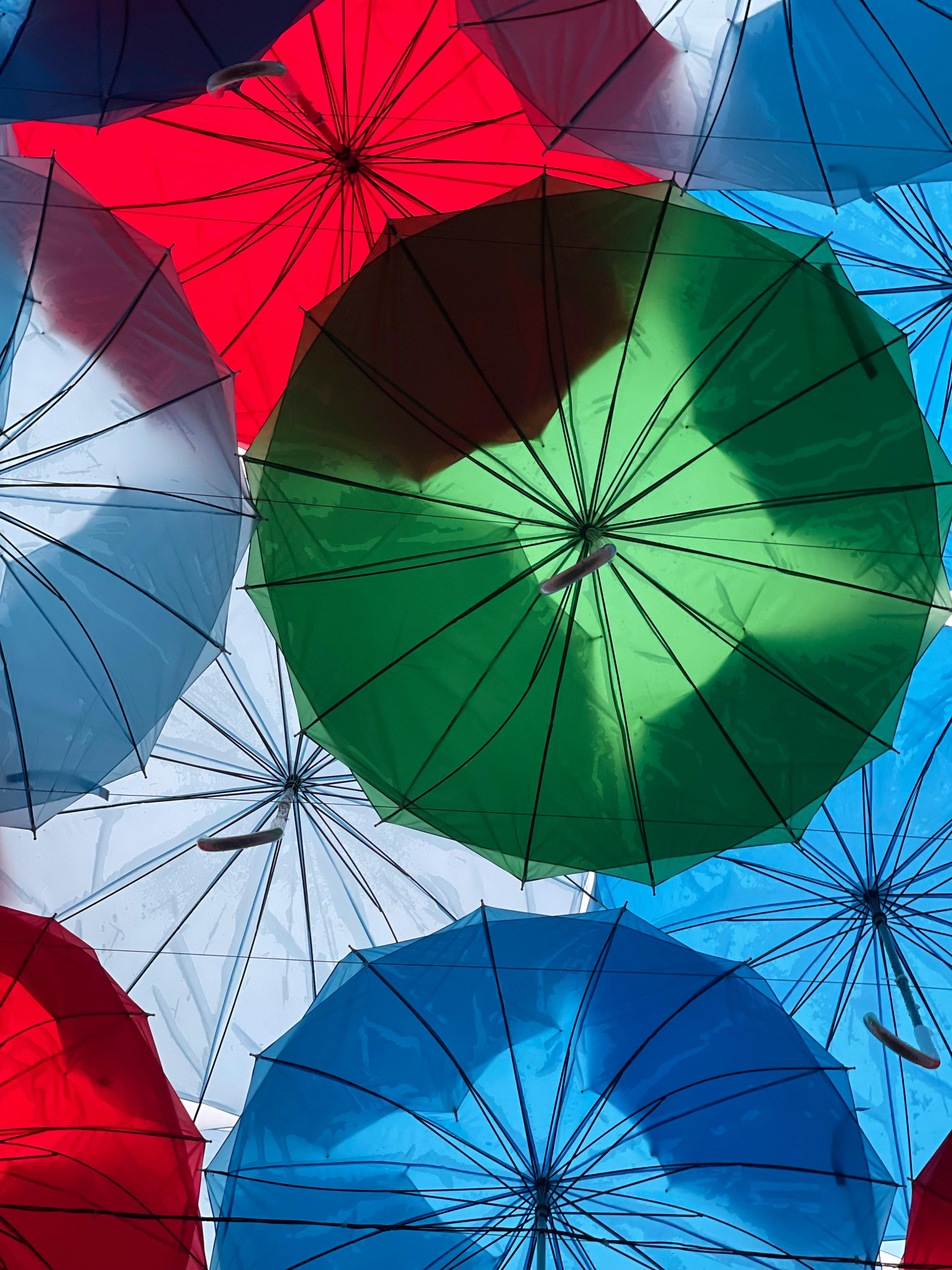 Multicolor · Free Stock Photo