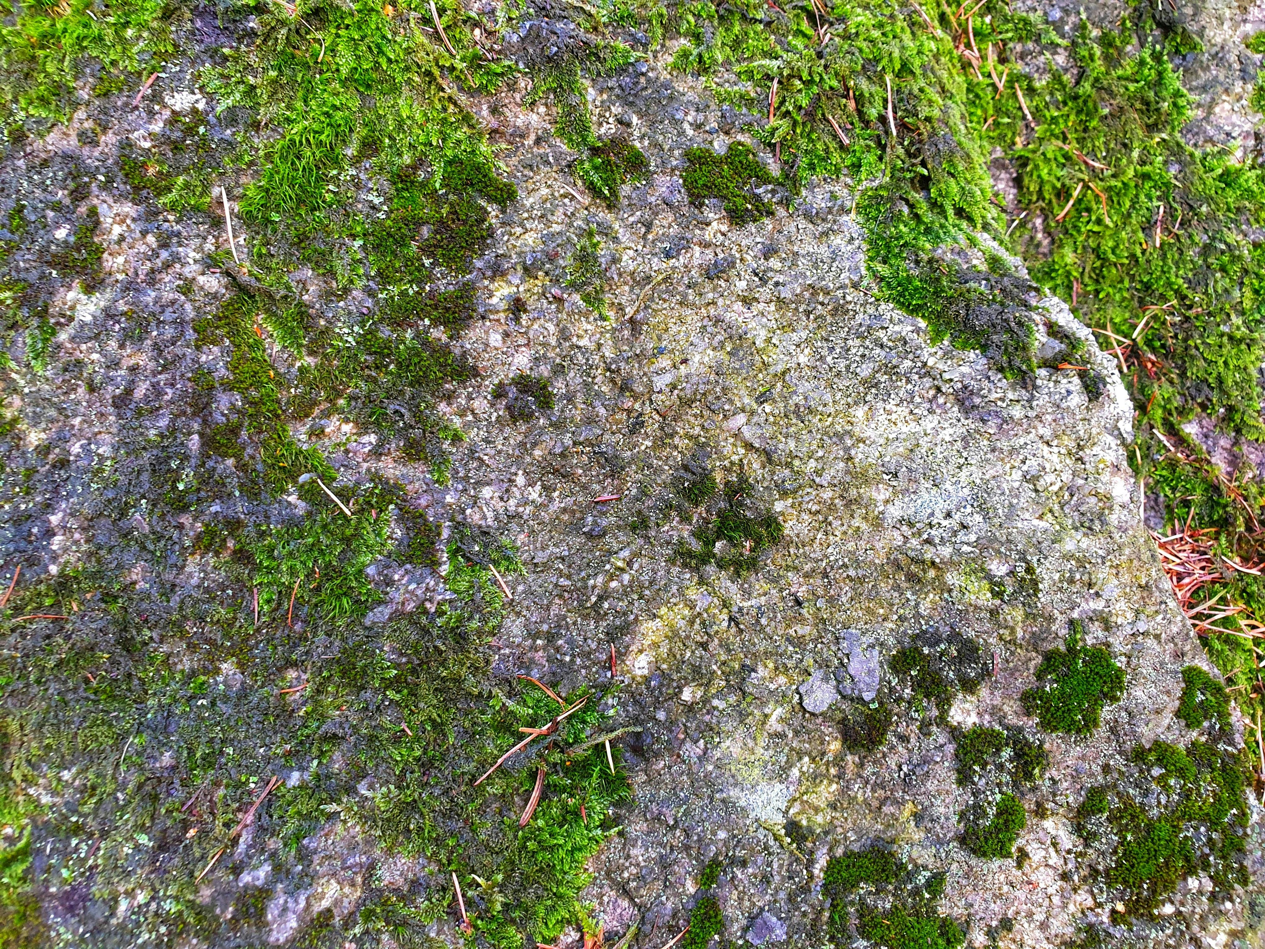 MILO TEXTURES · Photographie