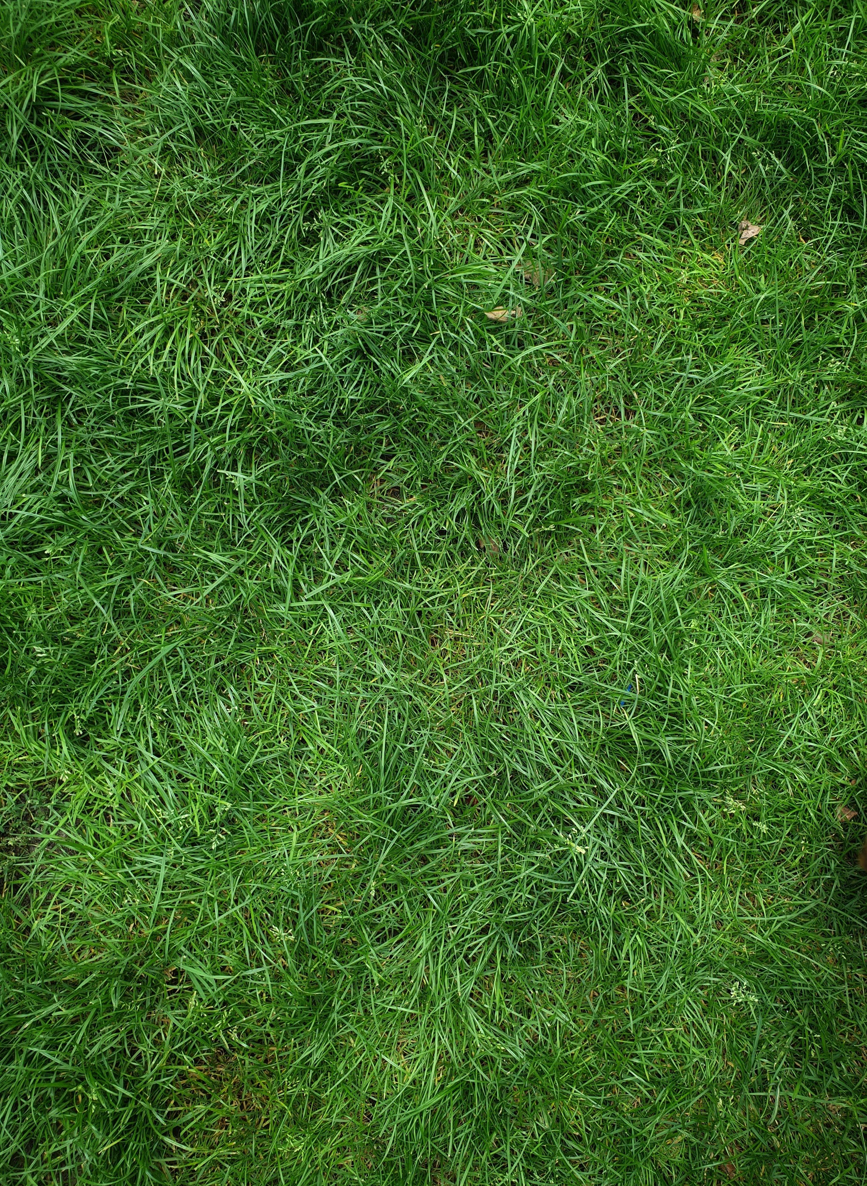 MILO TEXTURES · Photographie