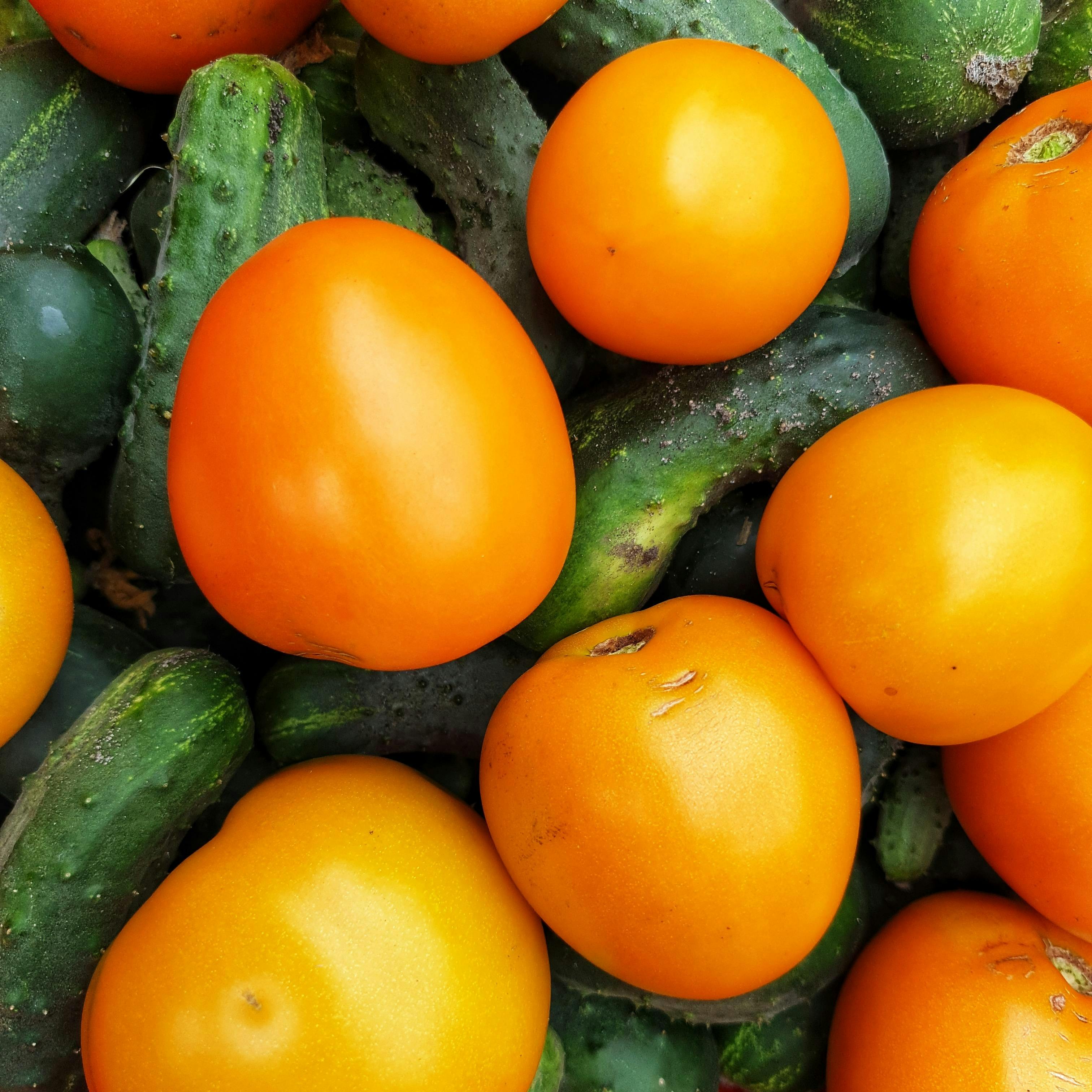 MILO TEXTURES - Photography