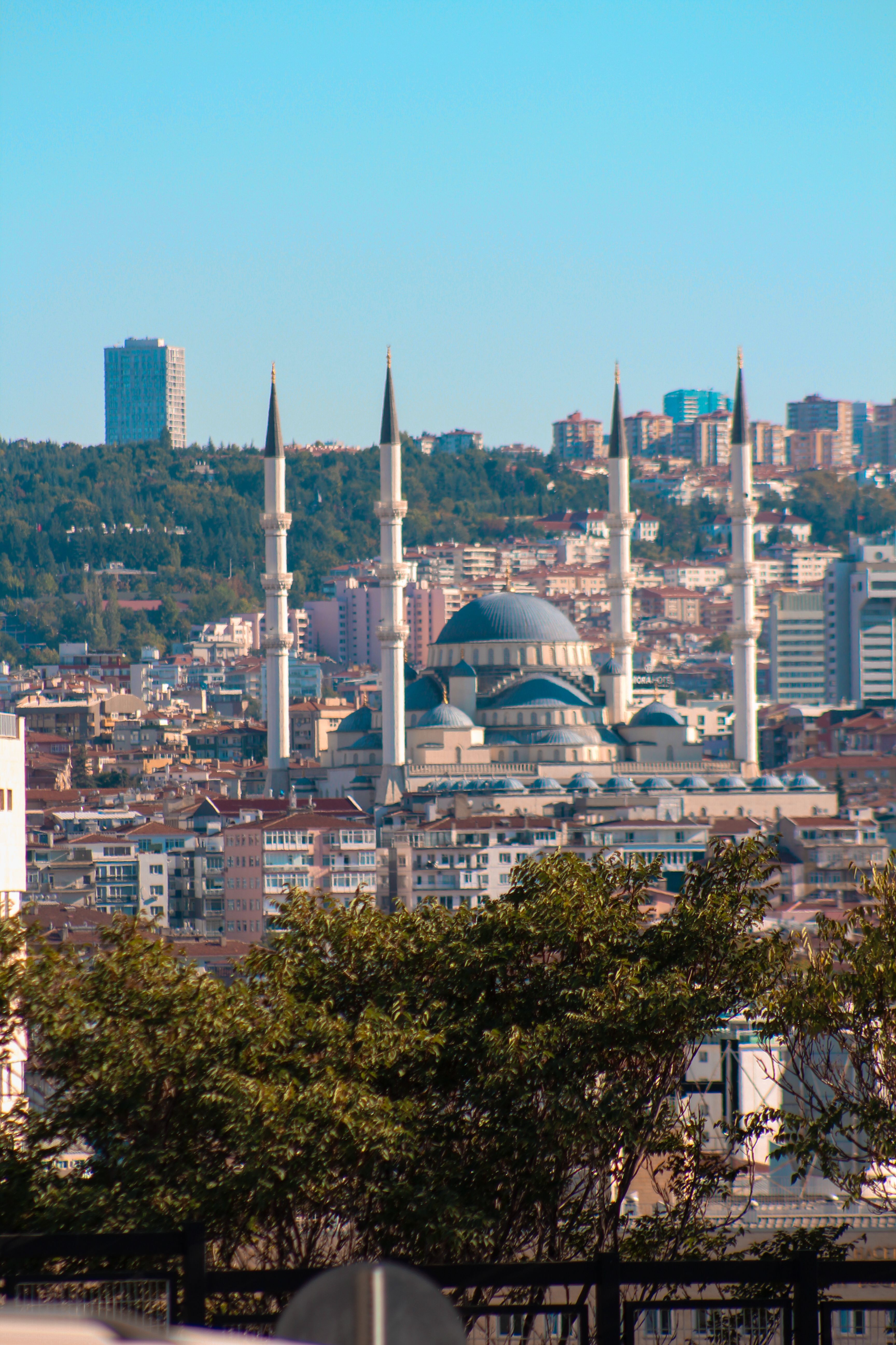 A view of the blue mosque from a hill · Free Stock Photo