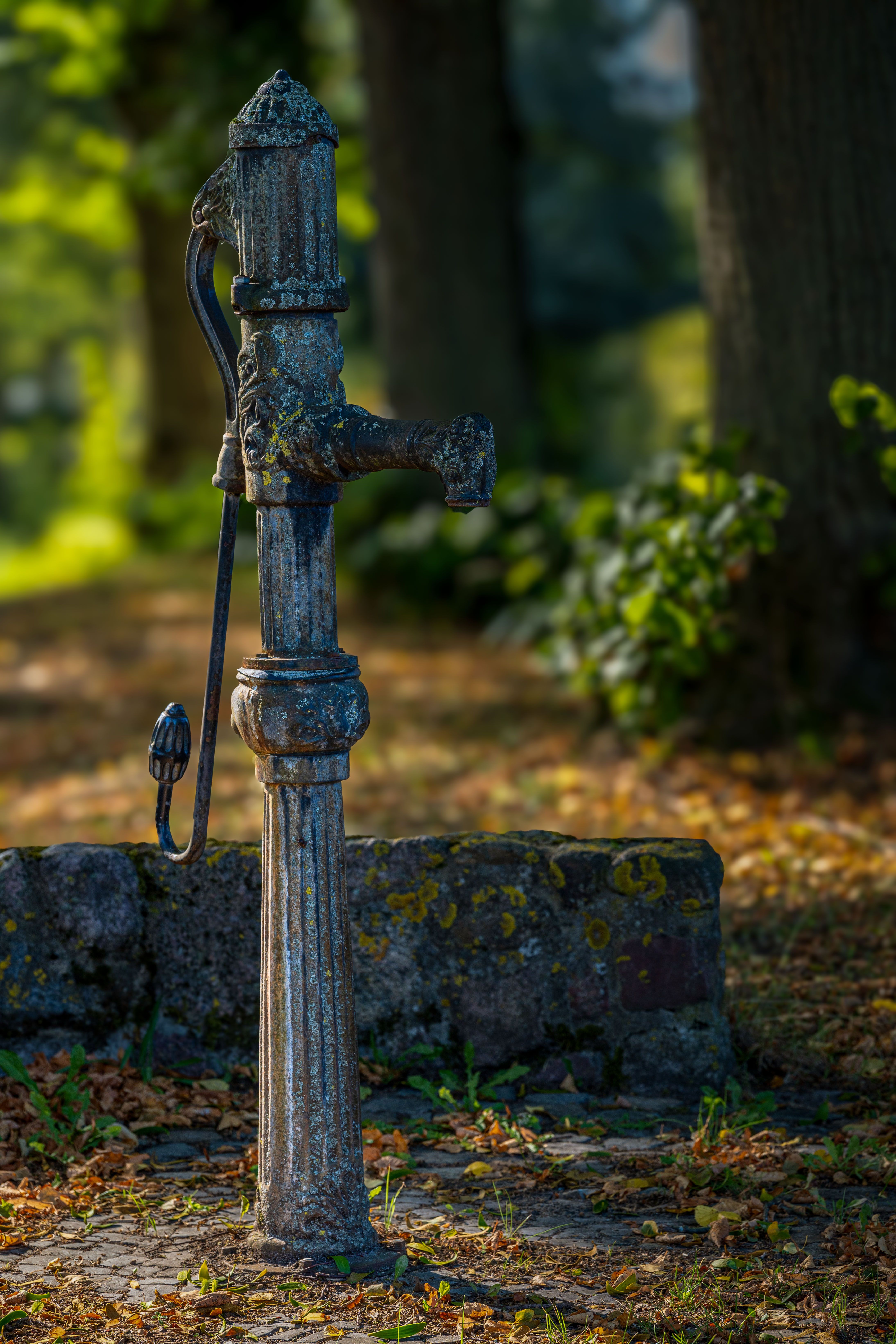 Water Pump Irrigation Photos, Download The BEST Free Water Pump ...