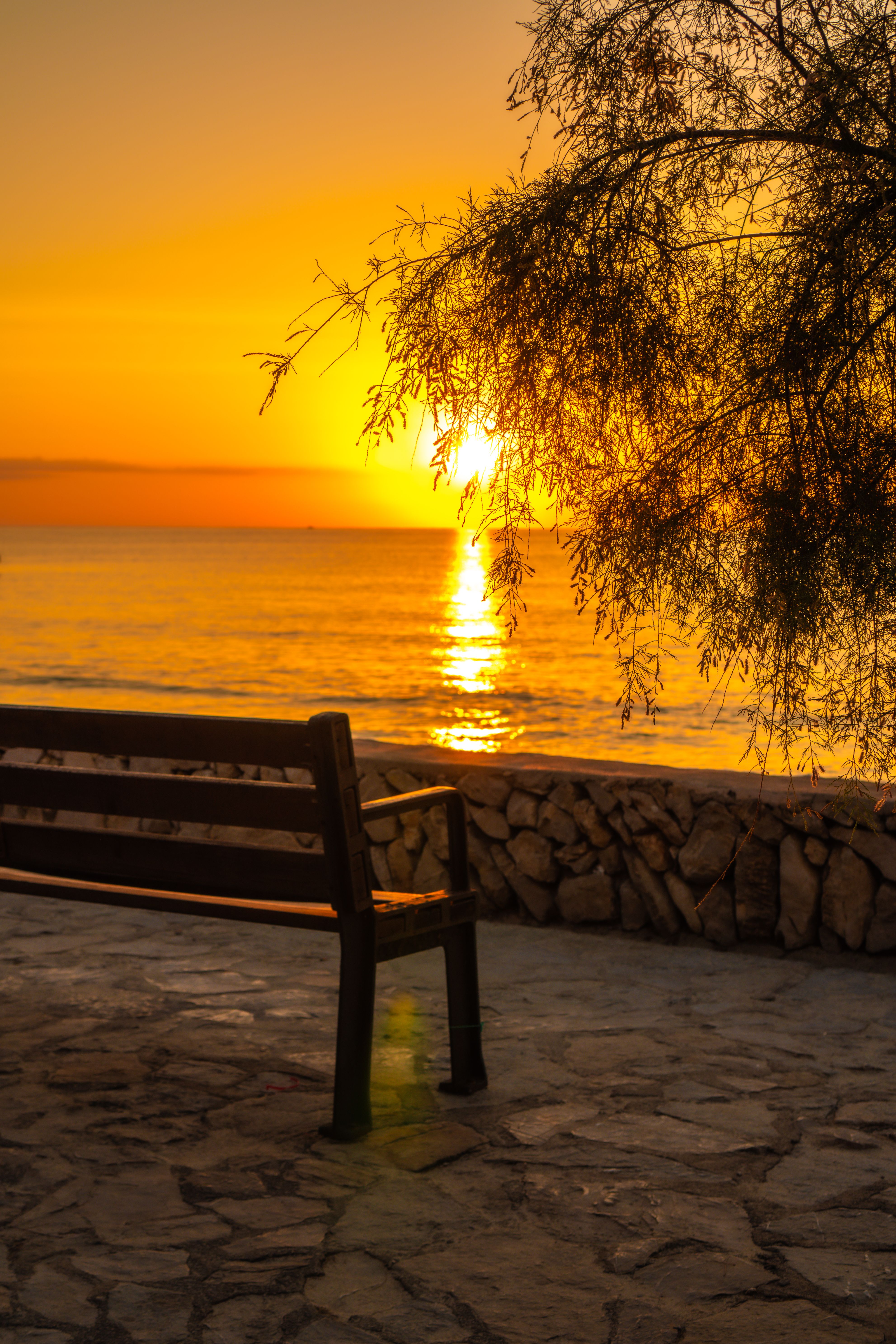 A bench is sitting on the beach at sunset · Free Stock Photo