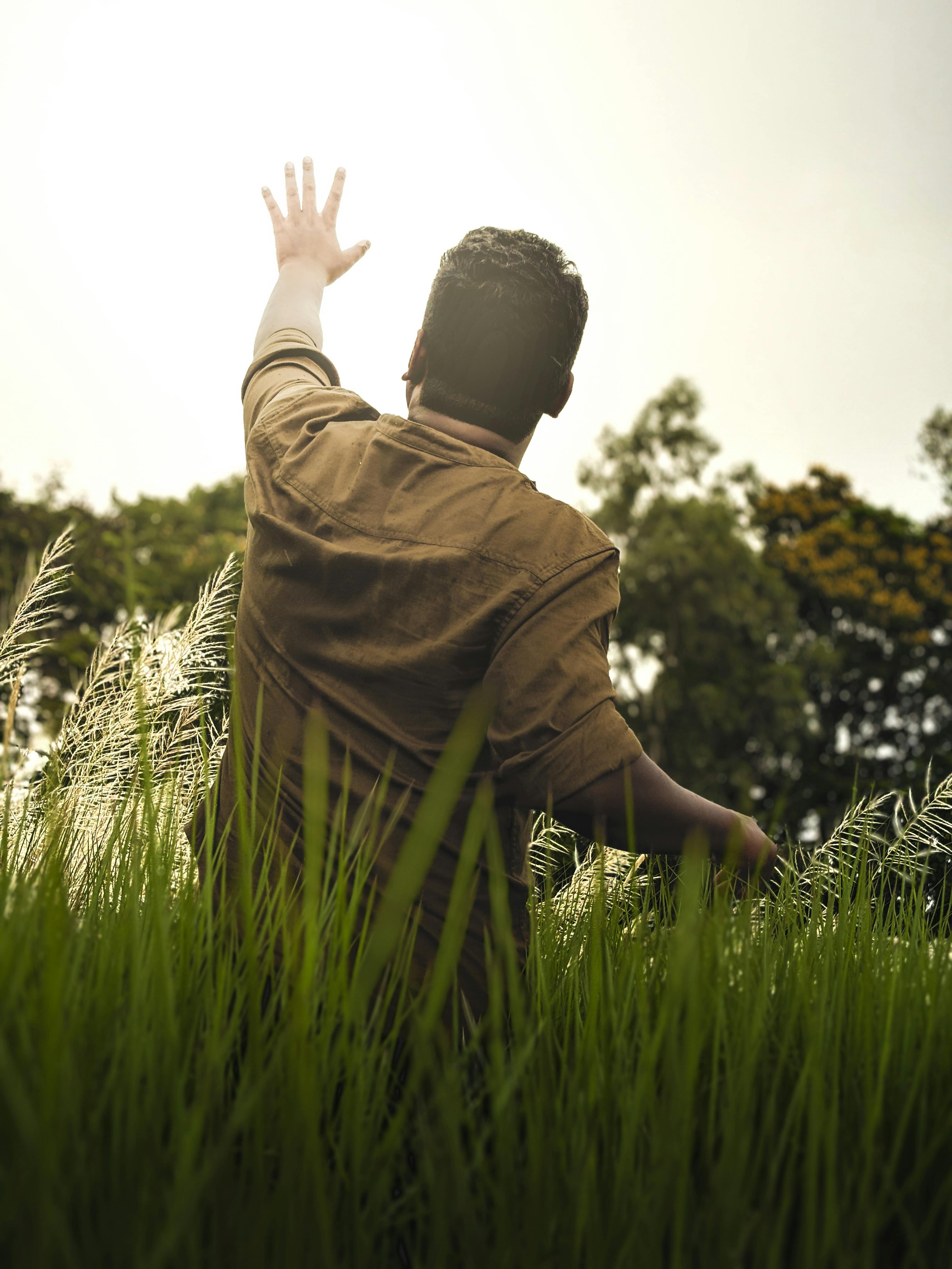 Back View of a Man Reaching For the Sky · Free Stock Photo