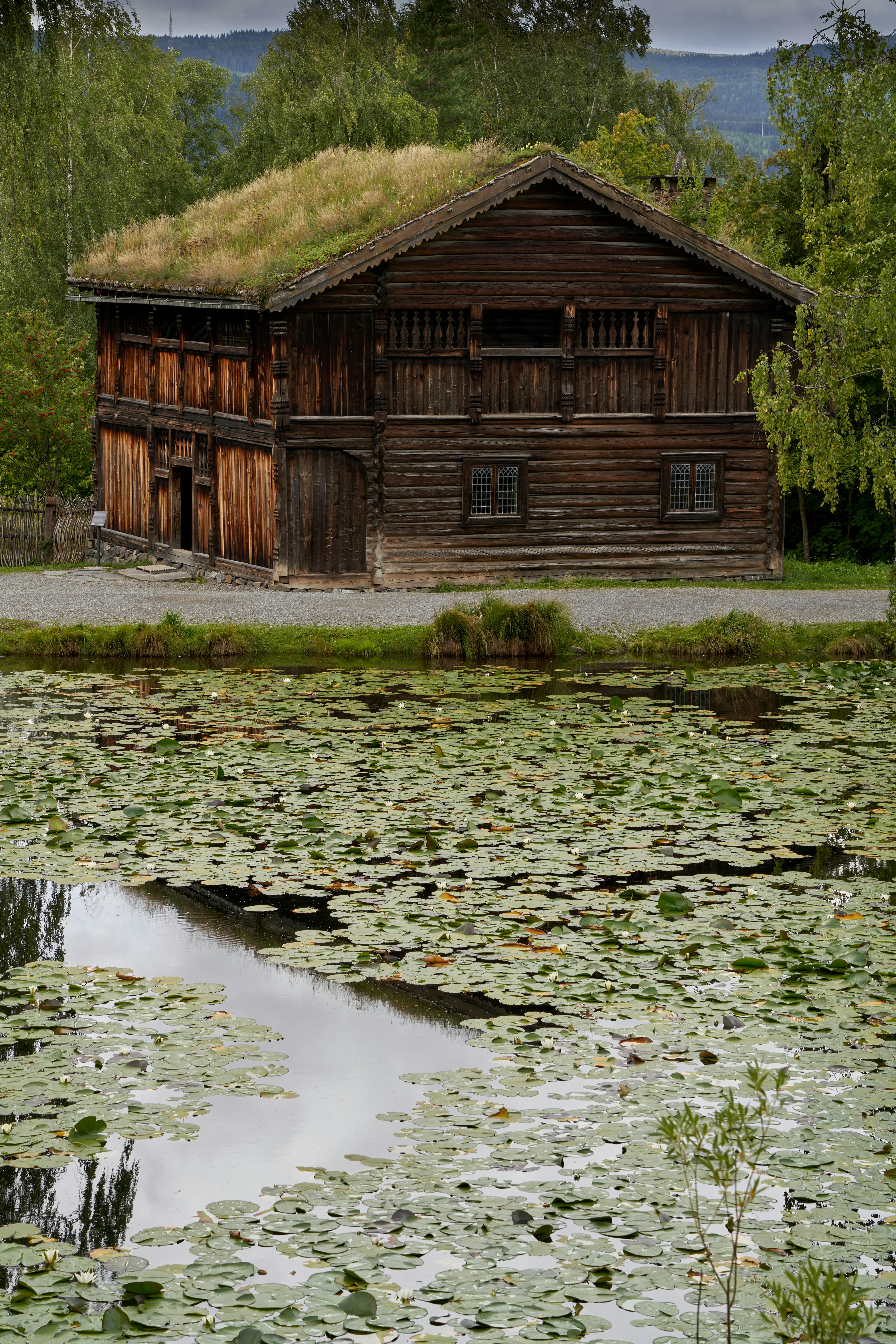 Traditional Norwegian Stave Building by a Lily Pond · Free Stock Photo