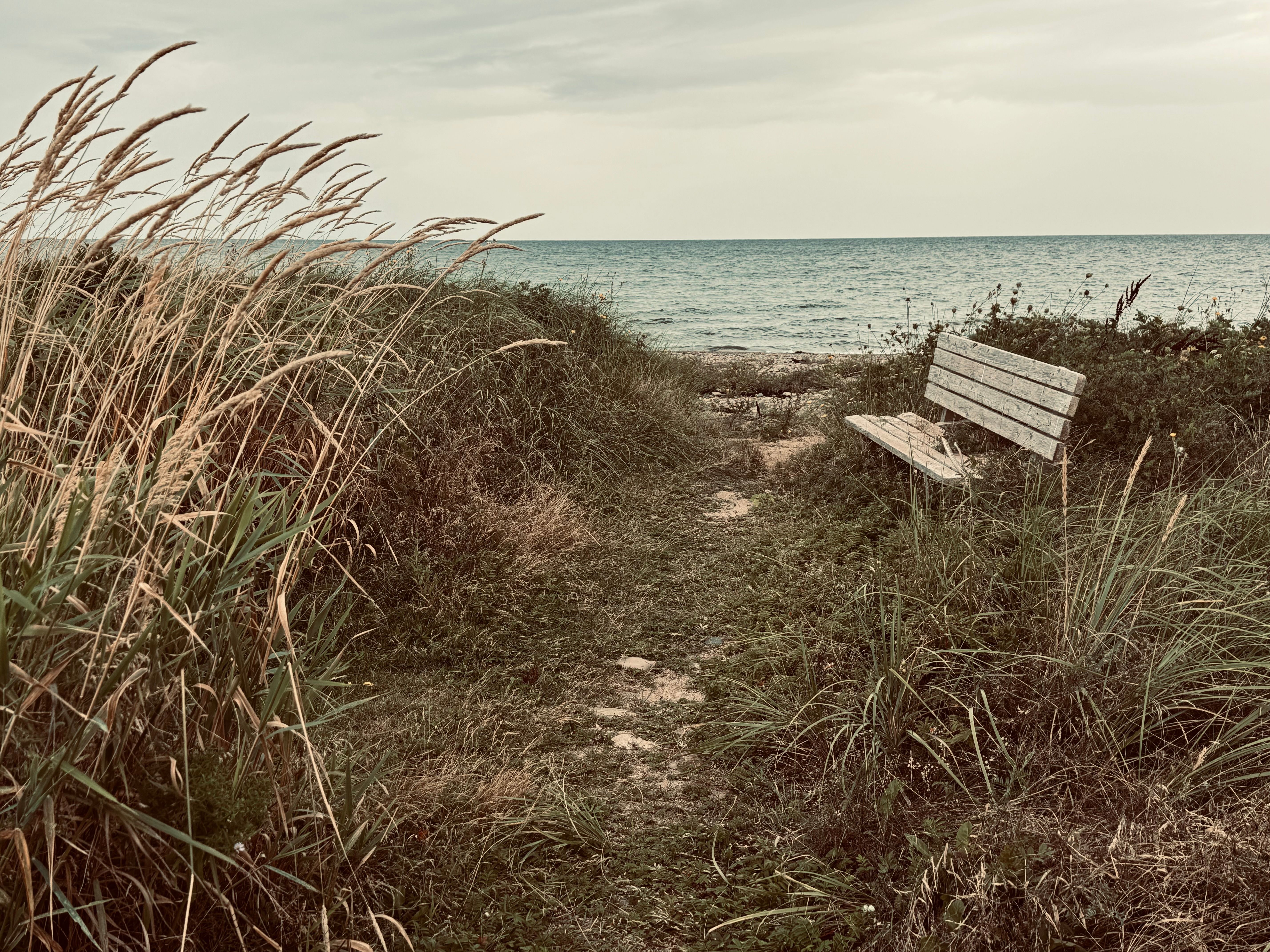 Stephen Goldberg - Photography