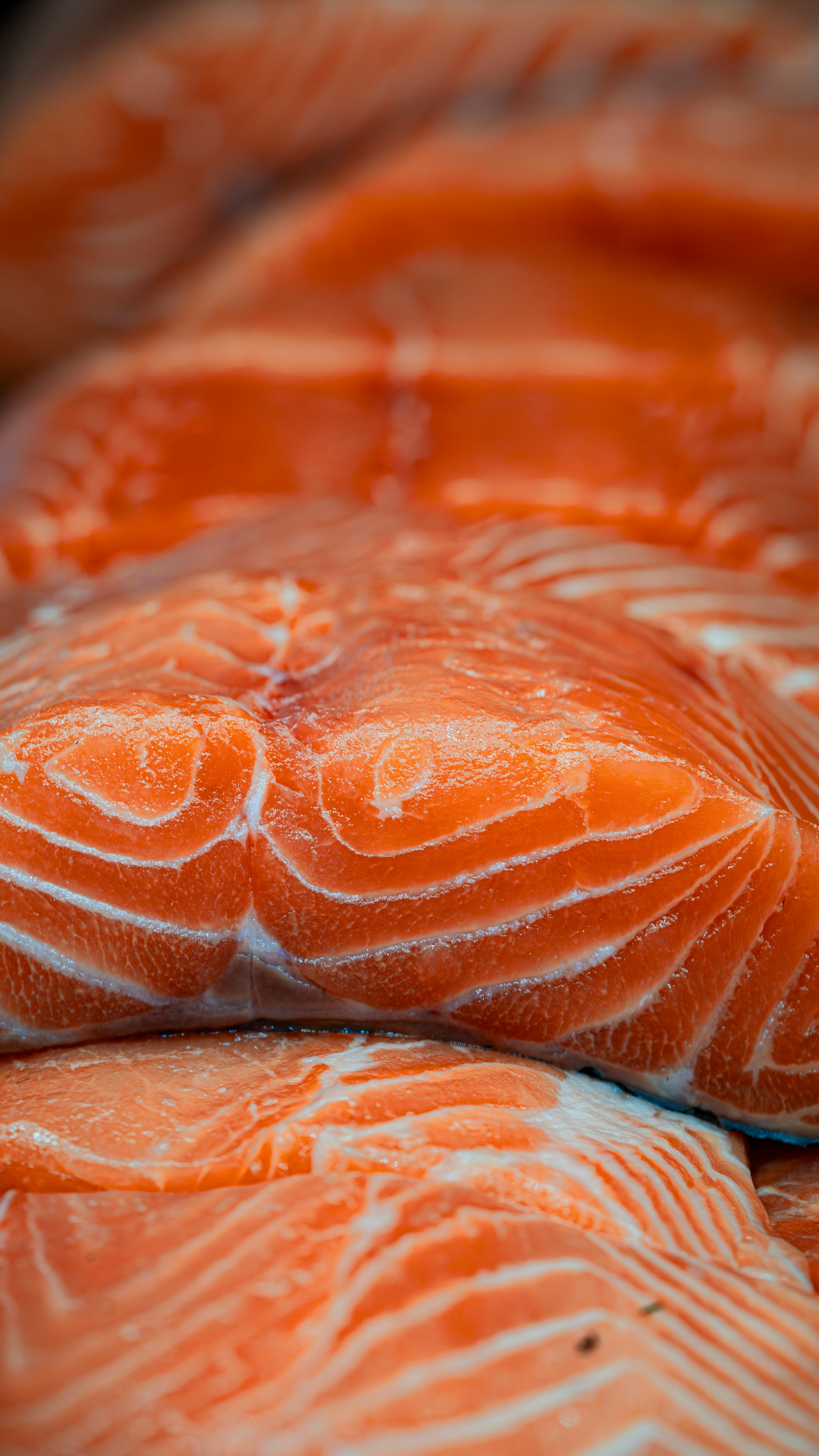 salmon and watch · Free Stock Photo