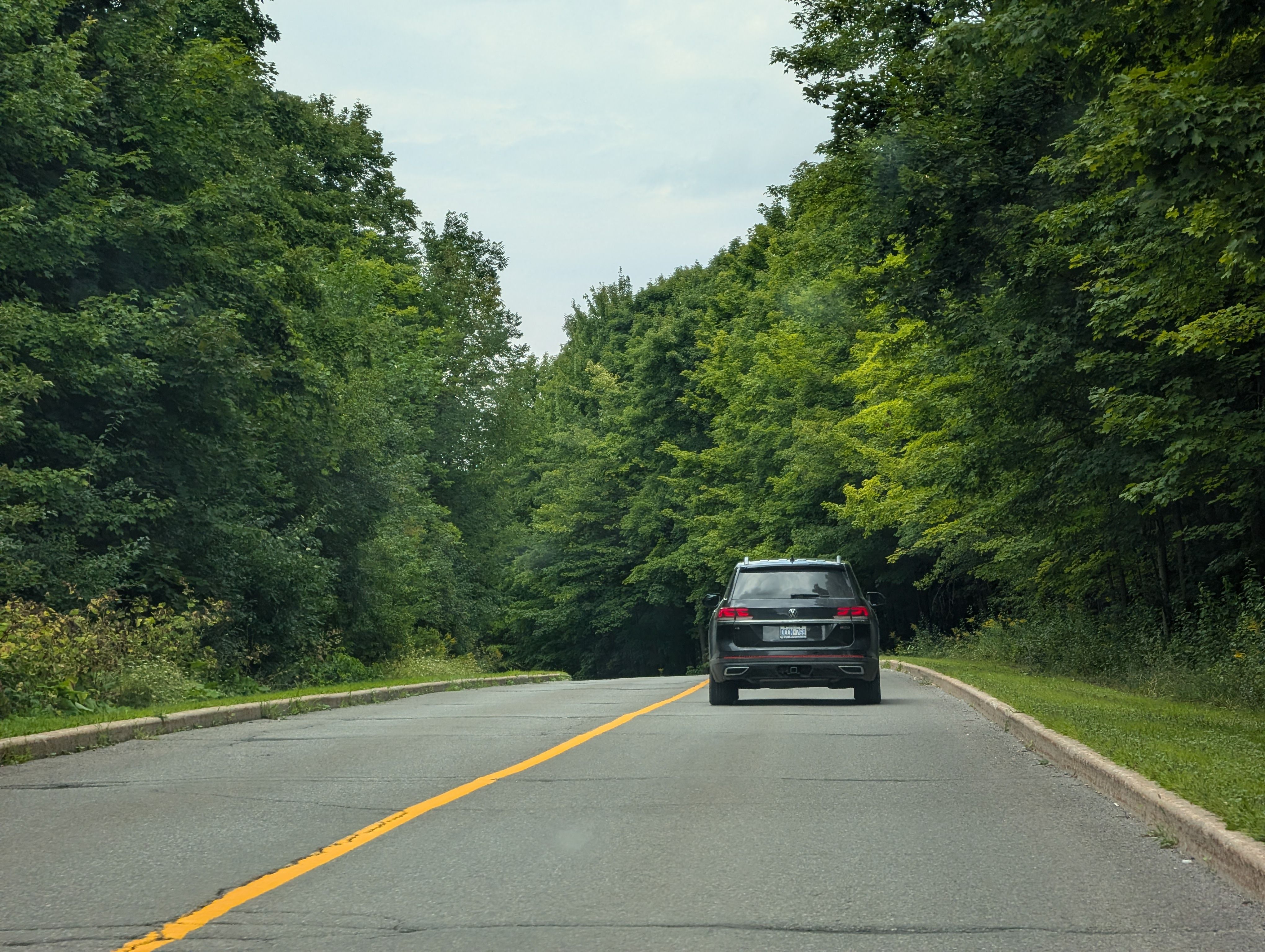 Black Car on a Road Among Trees · Free Stock Photo