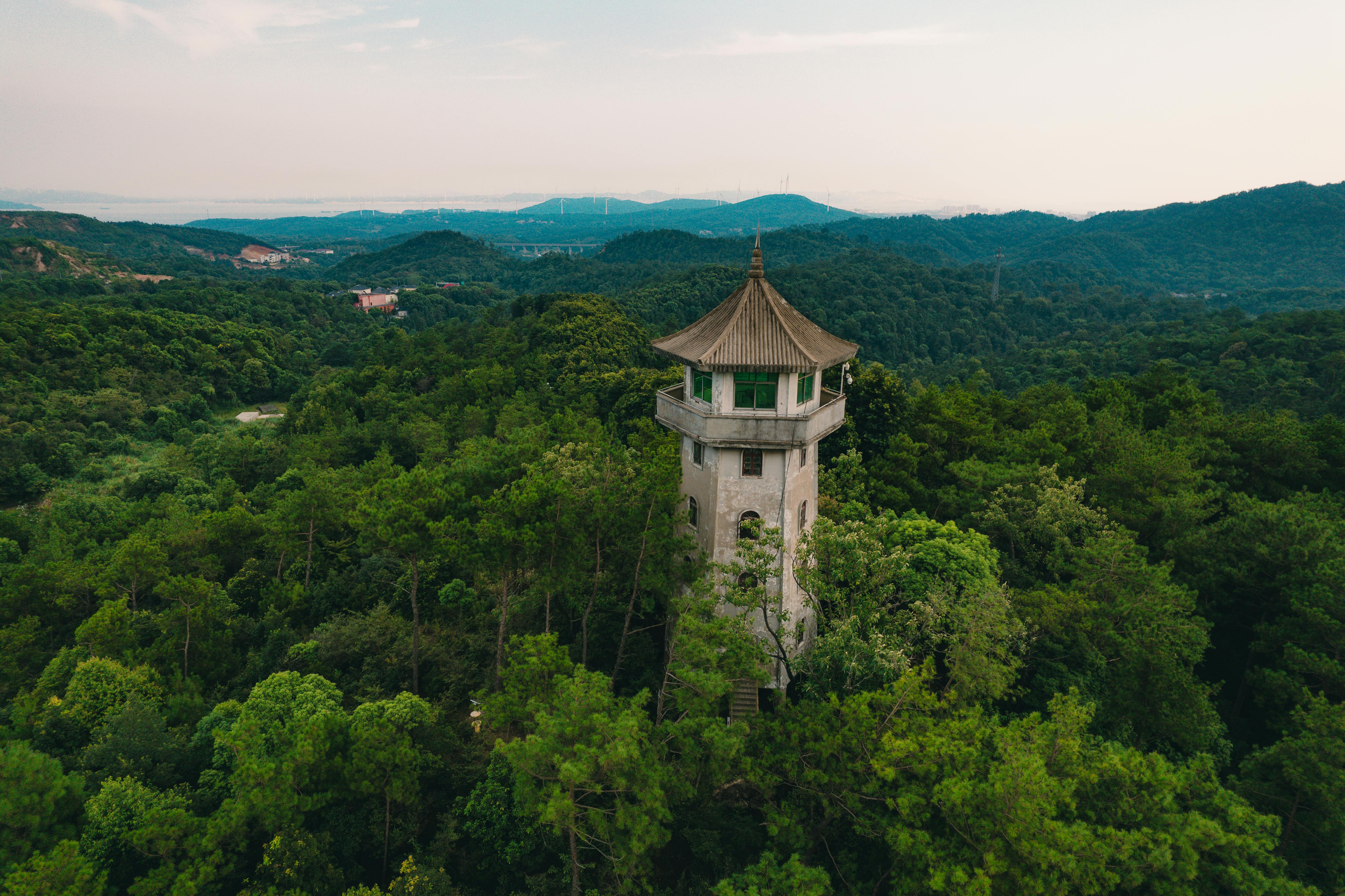 Aerial View of an Abandoned Water Tower in a Forest · Free Stock Photo