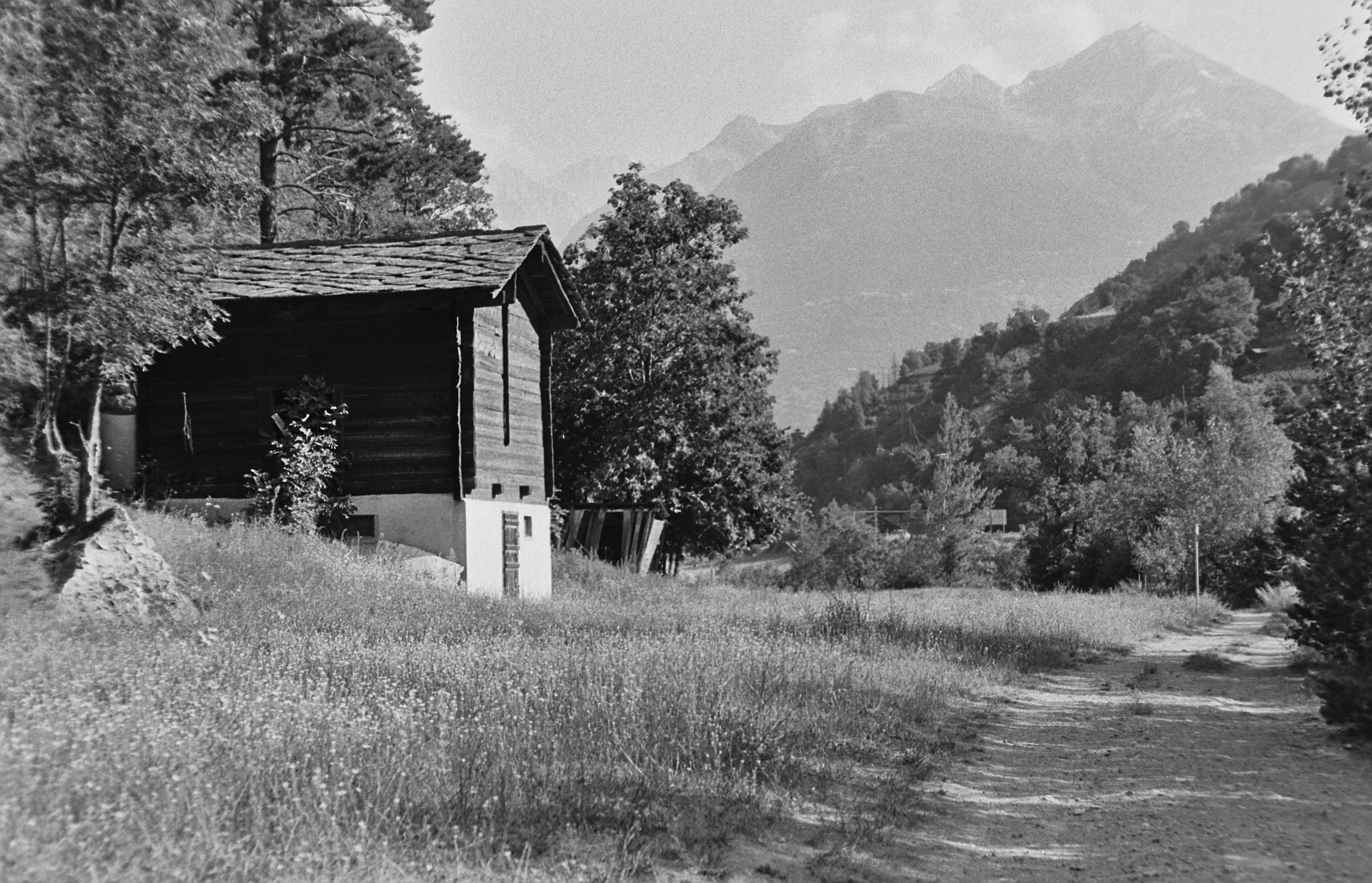 Stall House Photos, Download The BEST Free Stall House Stock Photos ...