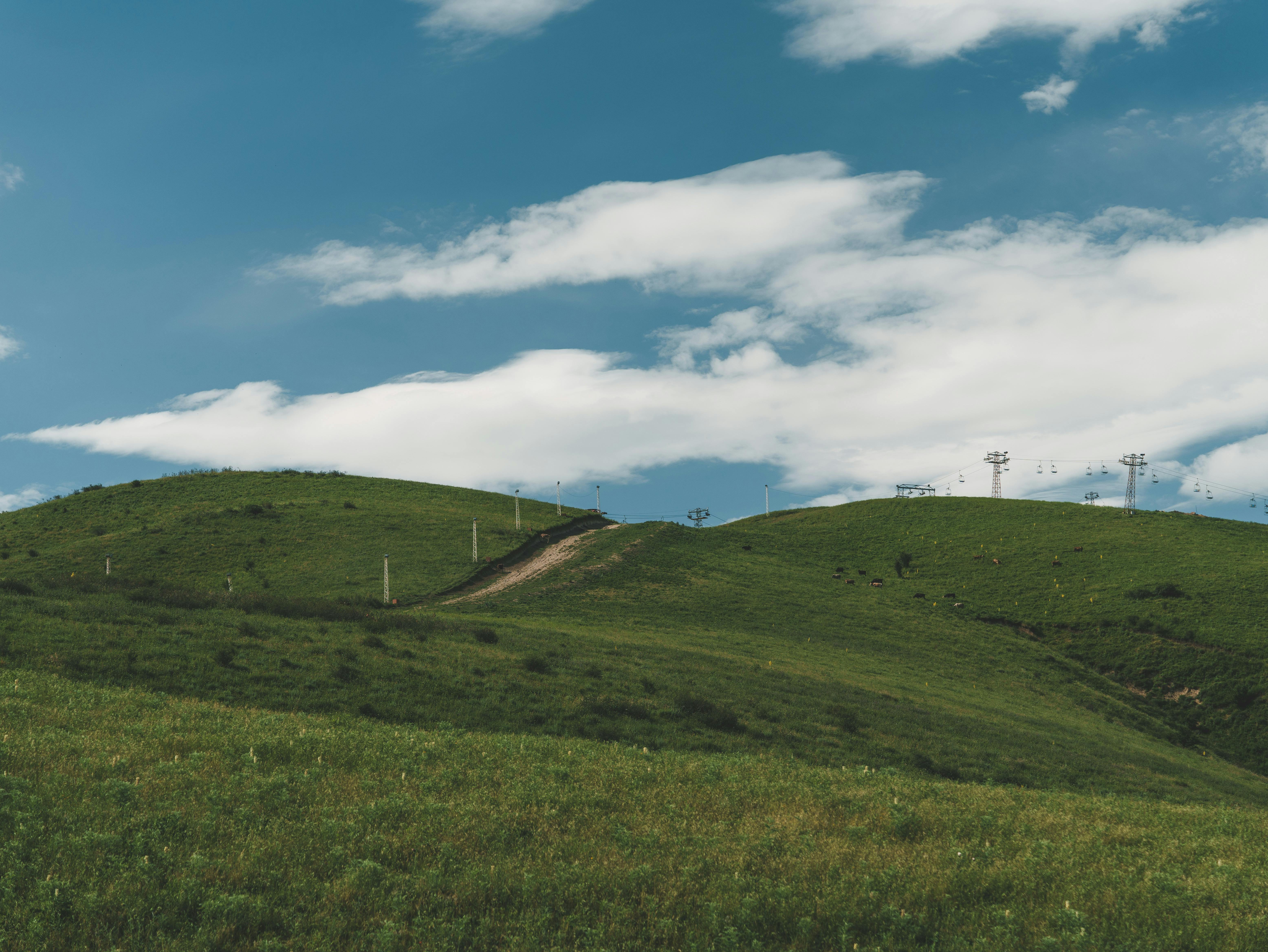 TimSon Foox - Photography