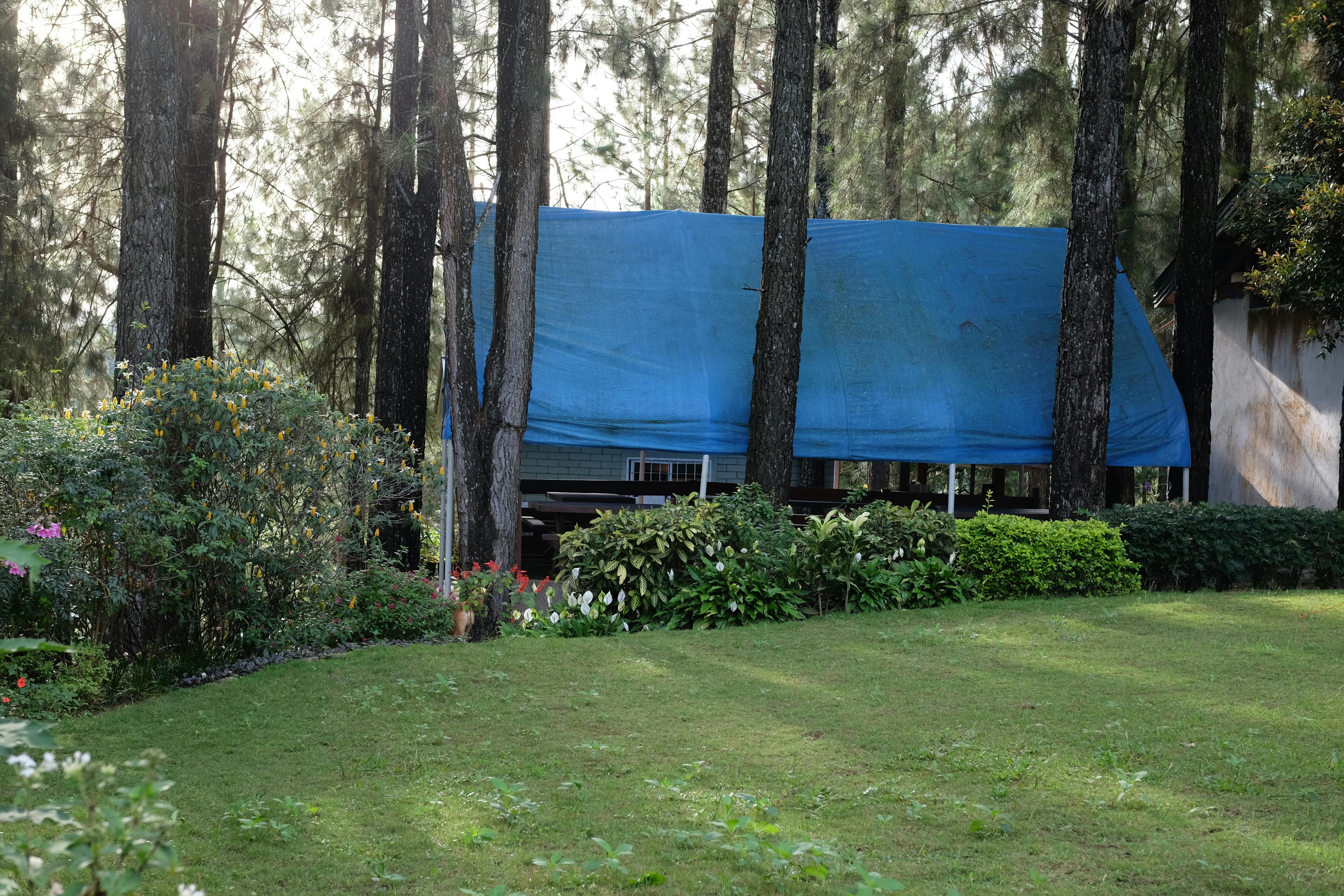 Tarp Tent Garden Photos, Download The BEST Free Tarp Tent Garden Stock ...