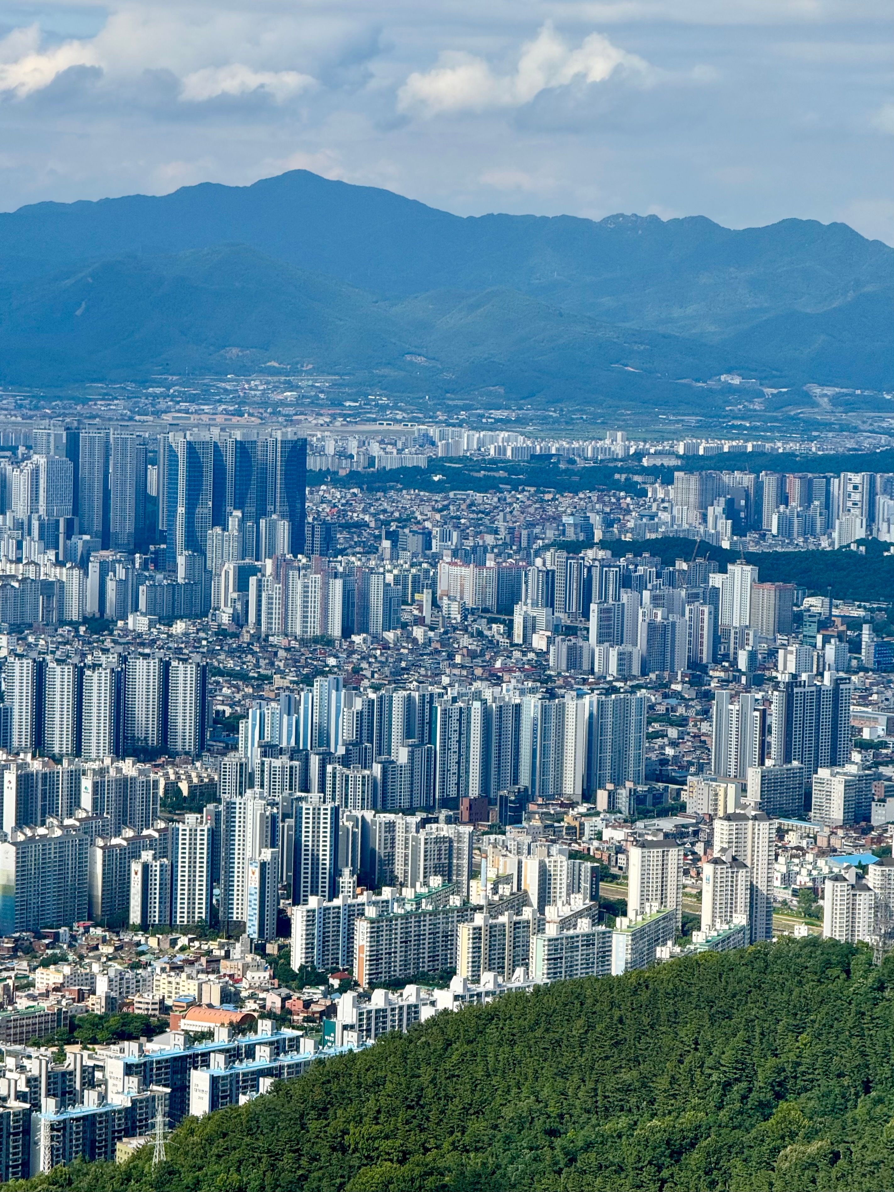 City Skyscrapers behind Hill · Free Stock Photo