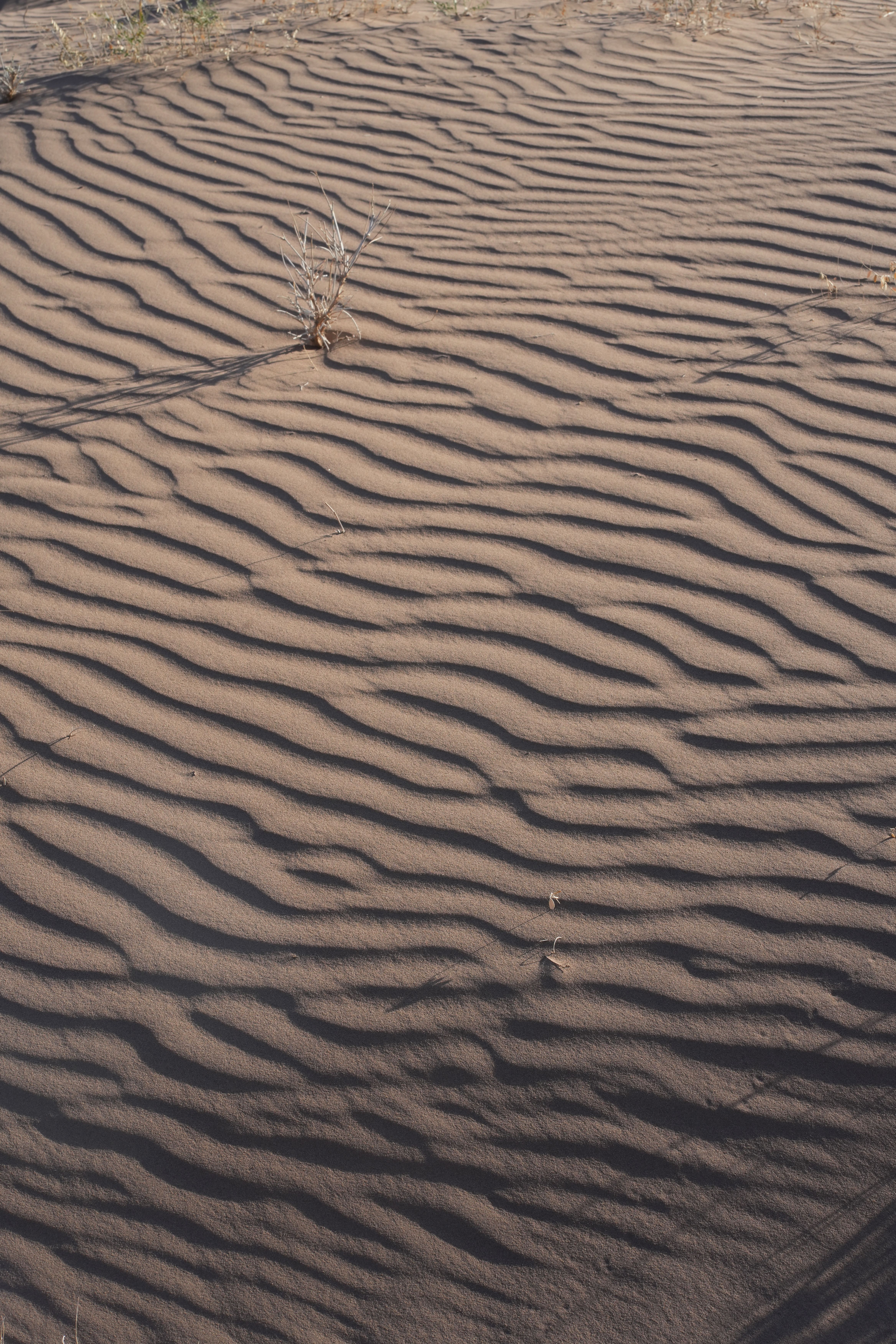 Shapes on Sand · Free Stock Photo