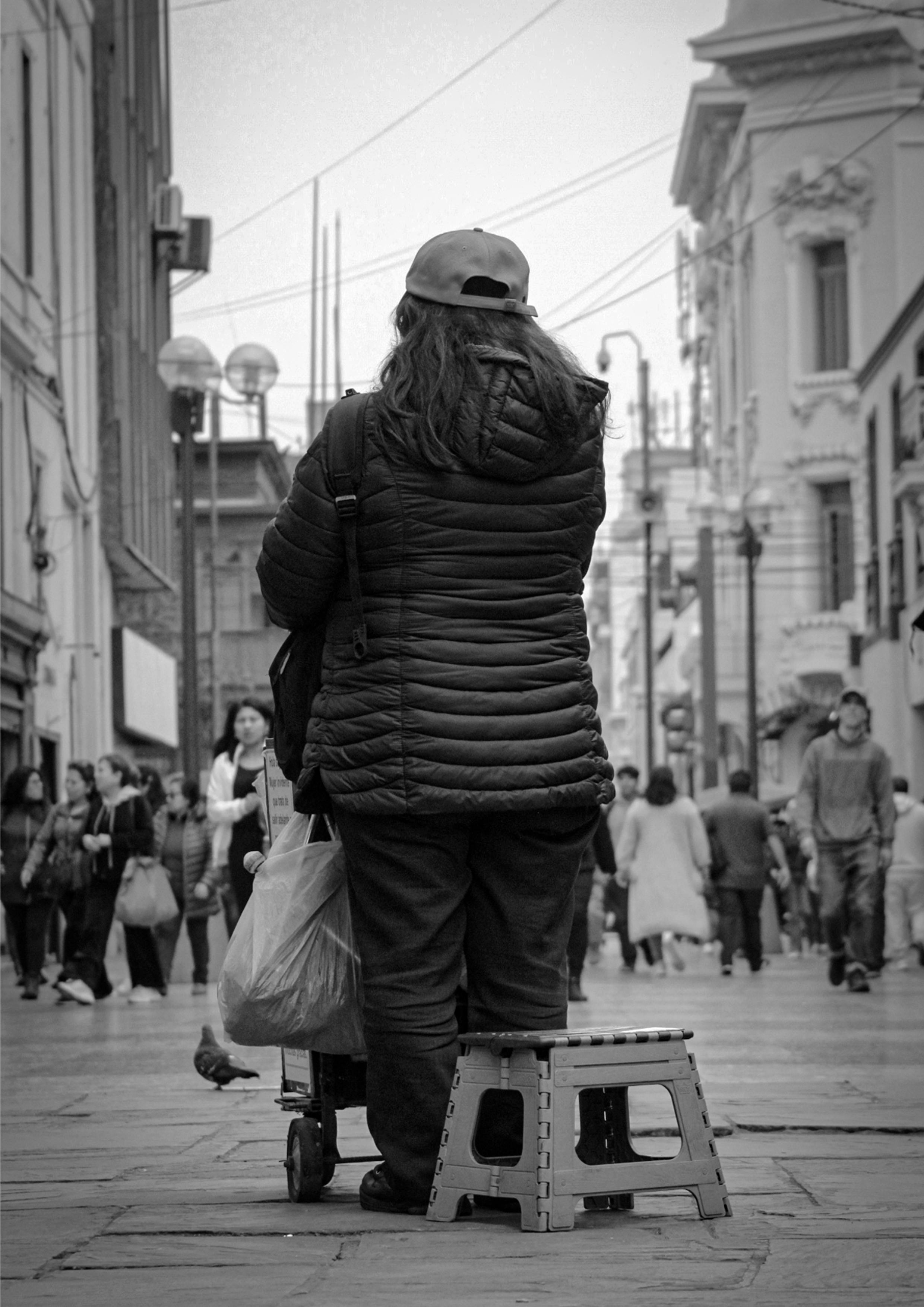 Crowd Of People Standing Backward Photos, Download The BEST Free Crowd ...