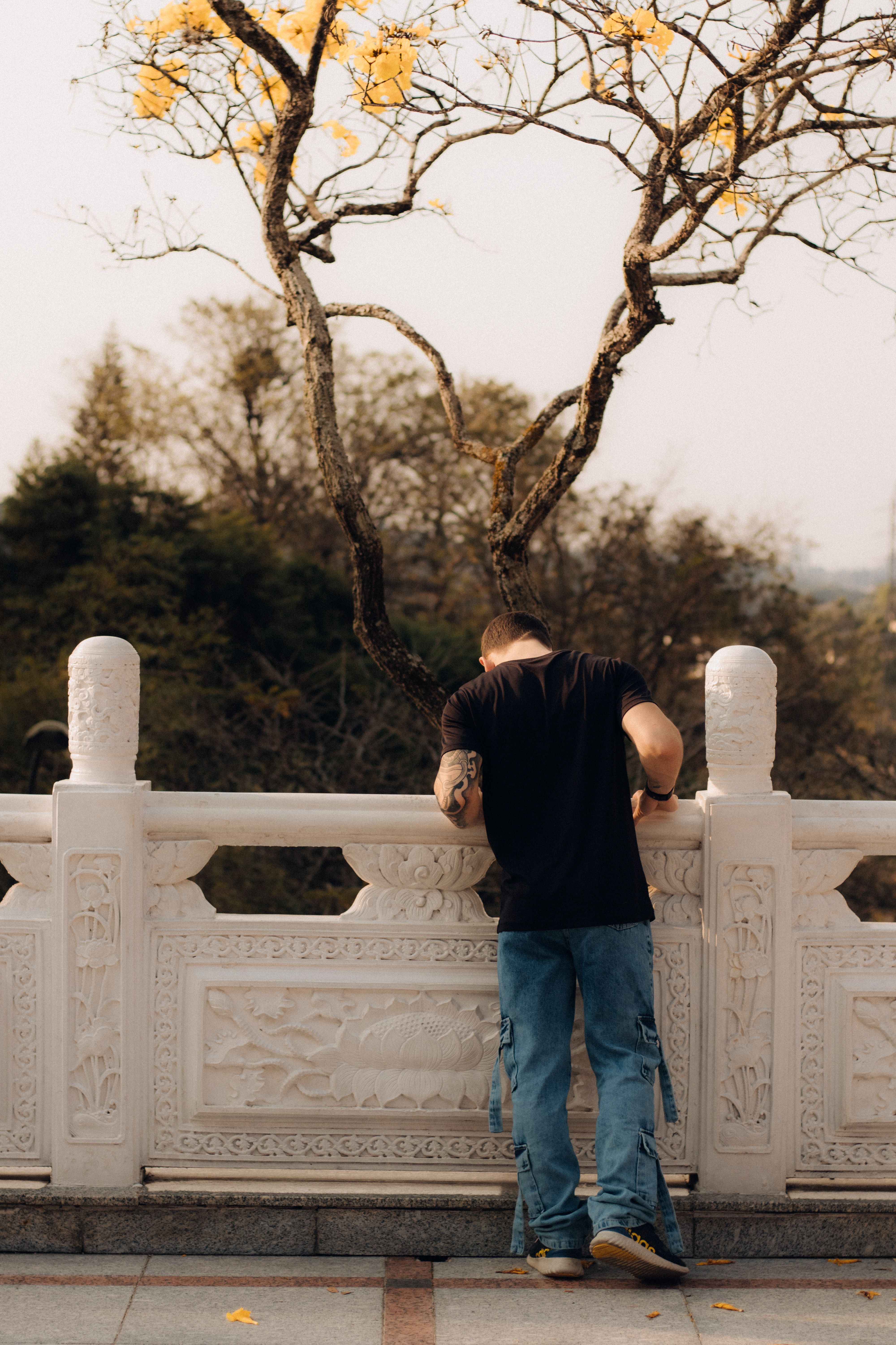A man looking at a tree from a railing · Free Stock Photo