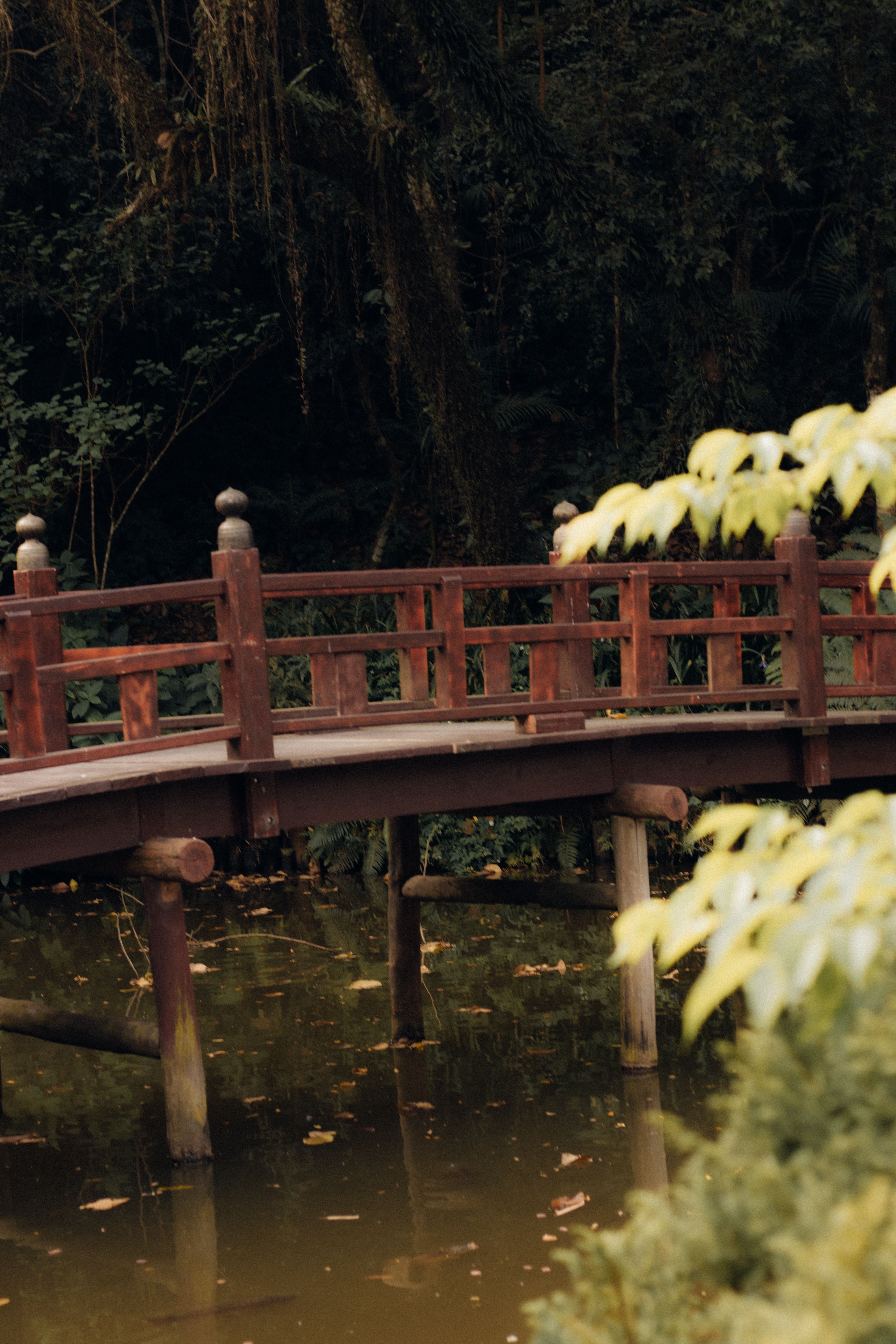 A wooden bridge over a pond in a garden · Free Stock Photo