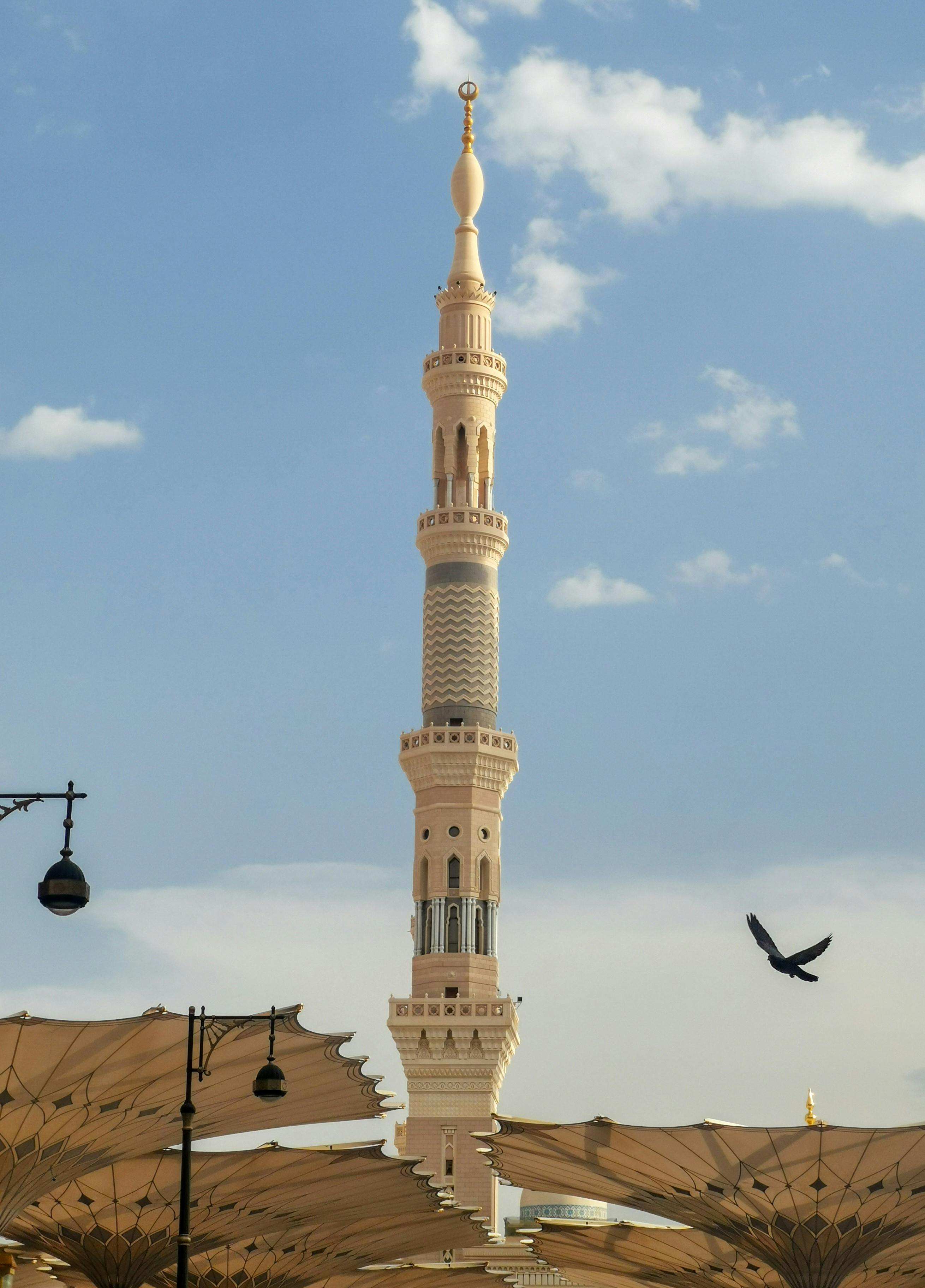 Bird Pillar Photos, Download The BEST Free Bird Pillar Stock Photos ...