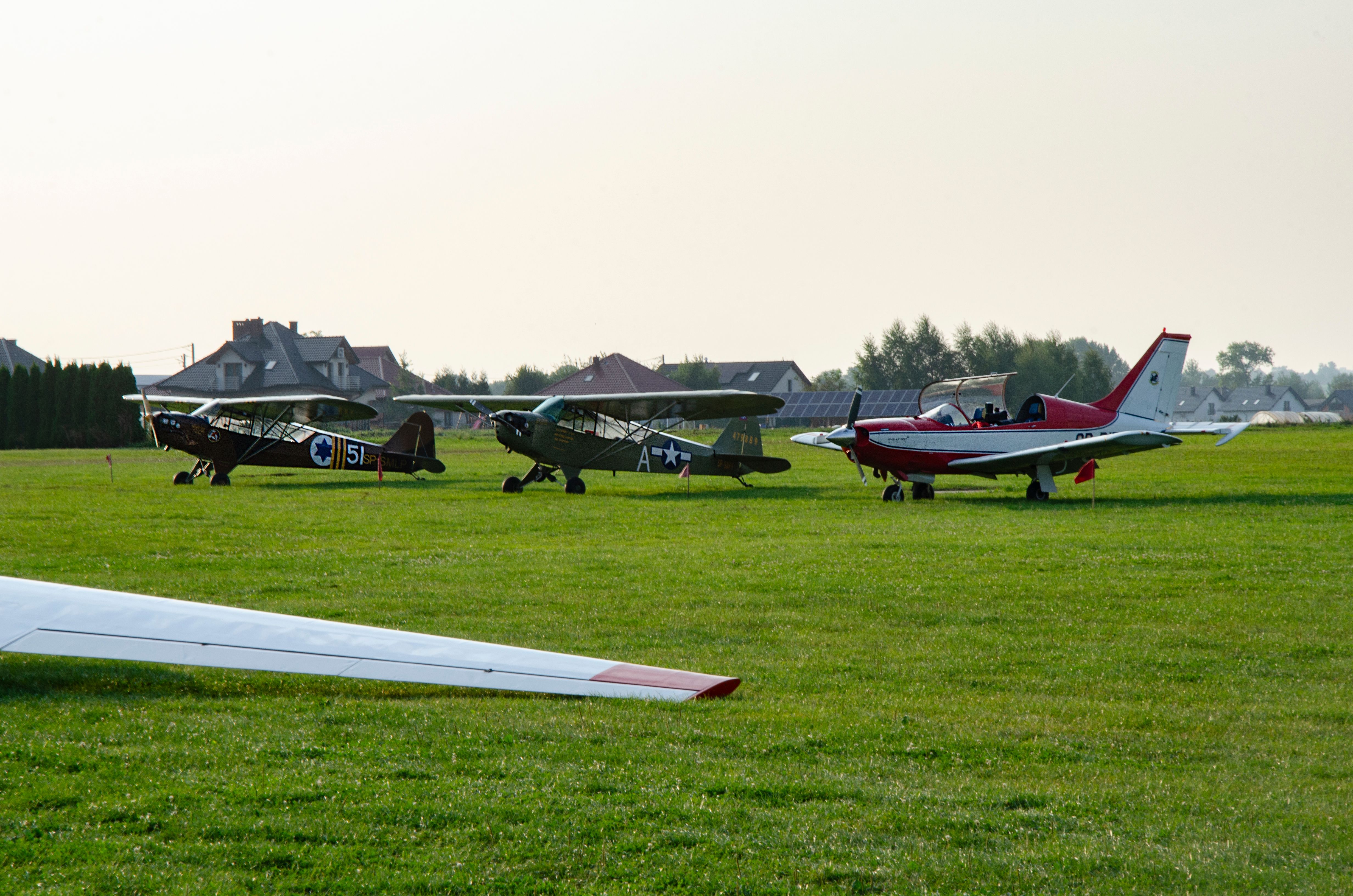 A group of airplanes in a field · Free Stock Photo