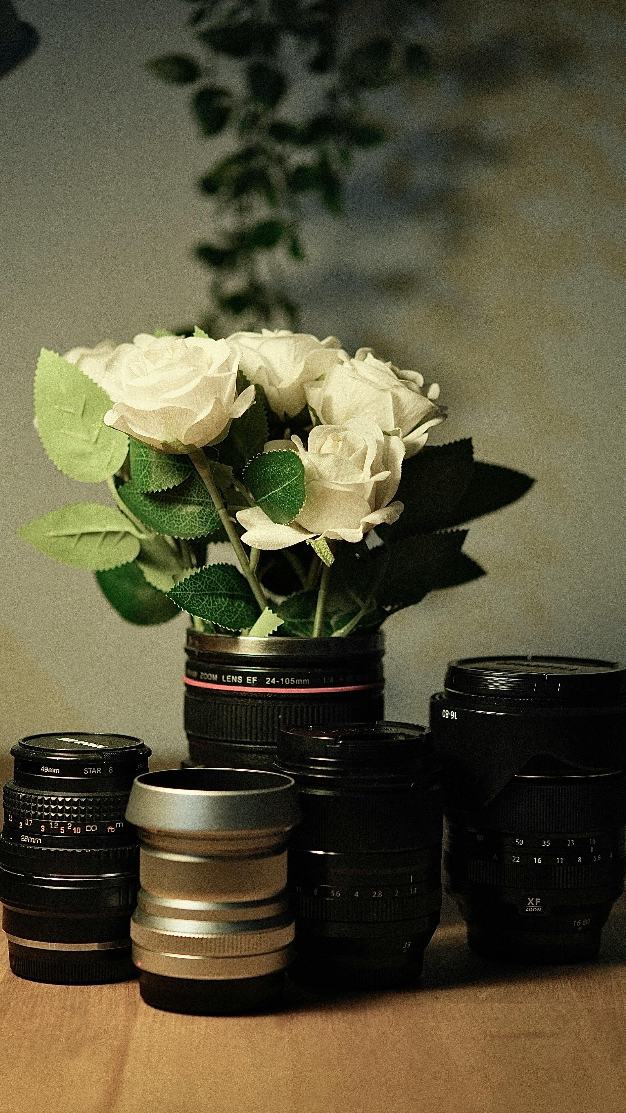 A vase with roses and camera lenses on a table · Free Stock Photo