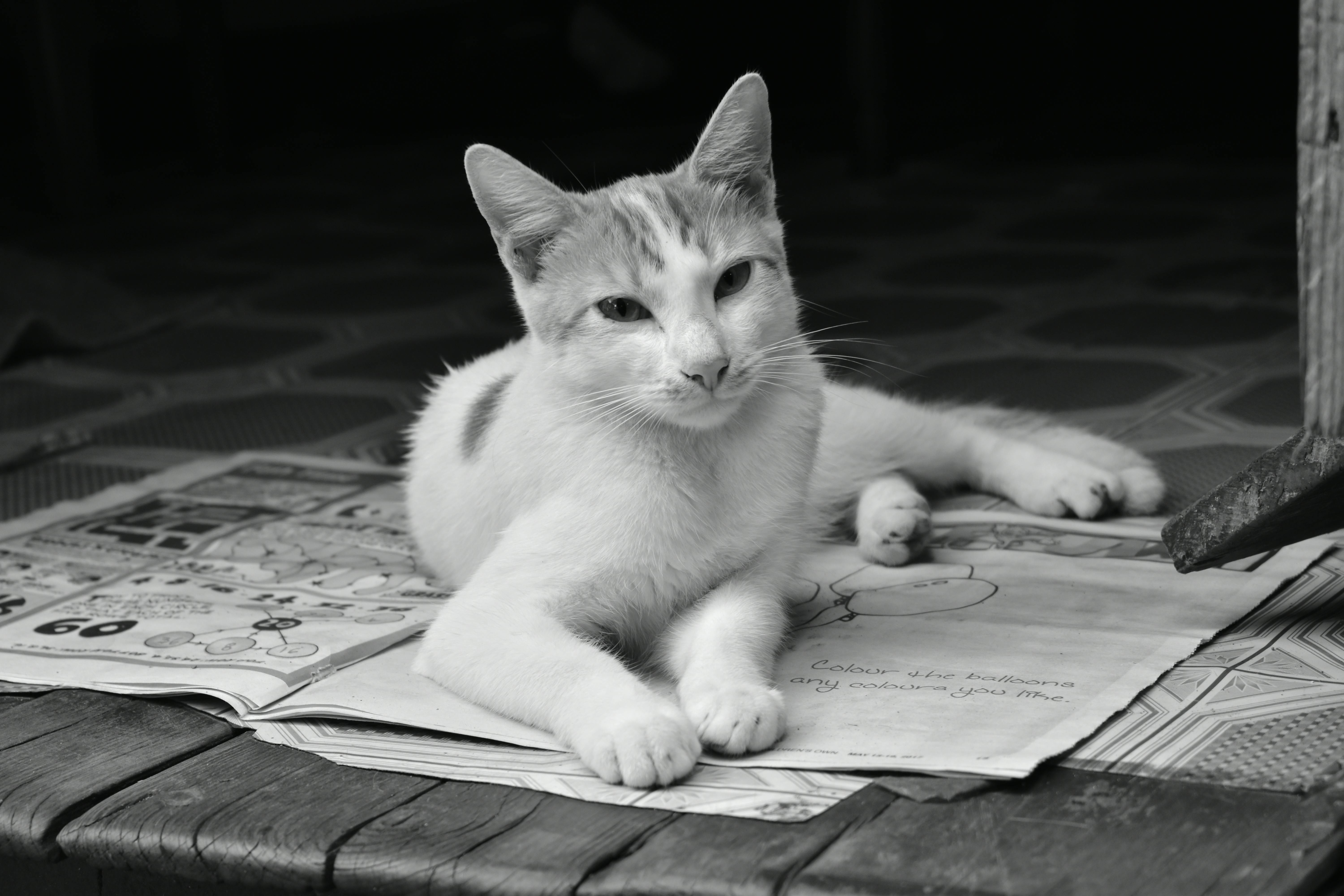 Tony Rush - Photography