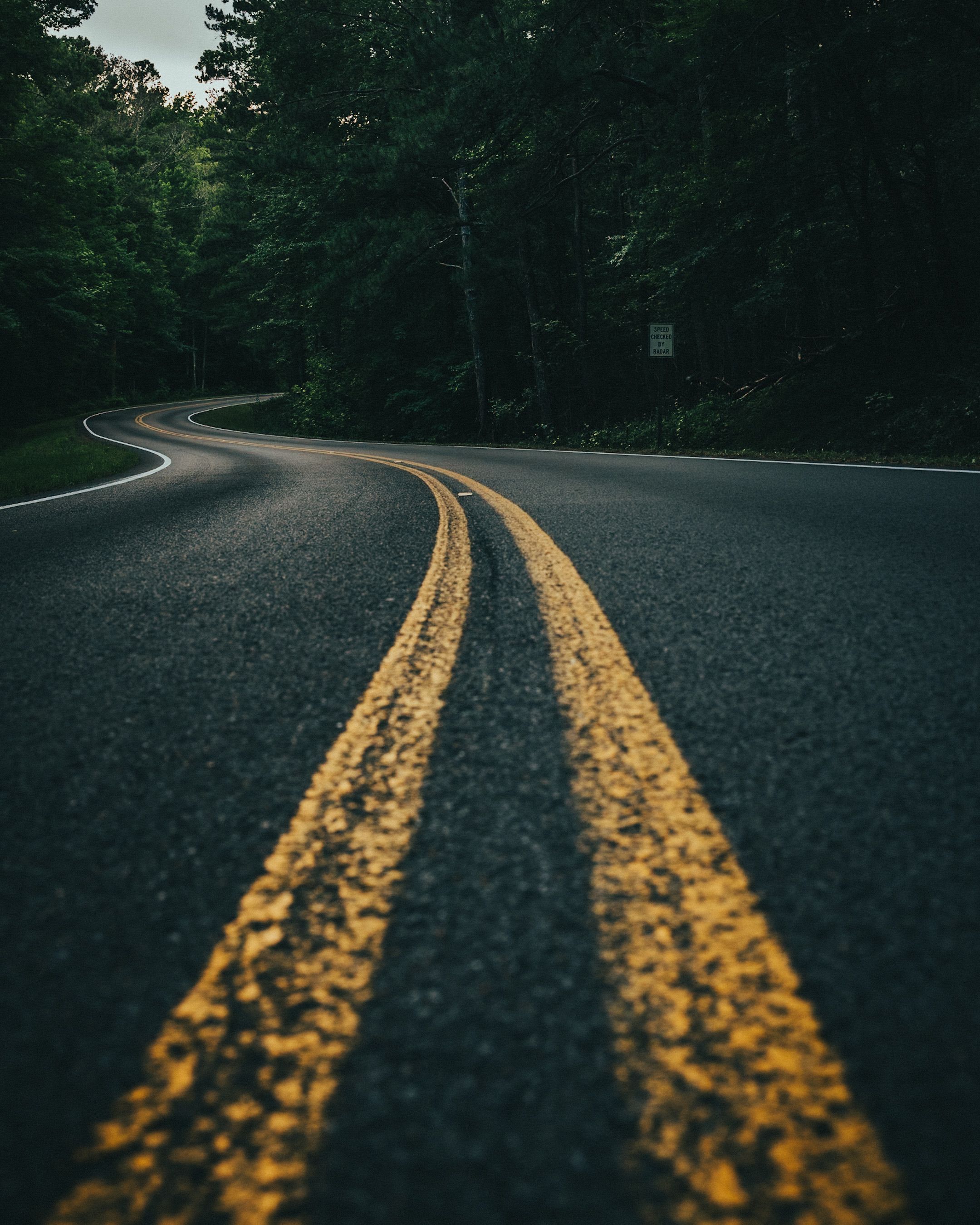 Yellow Lines on Road in Forest · Free Stock Photo