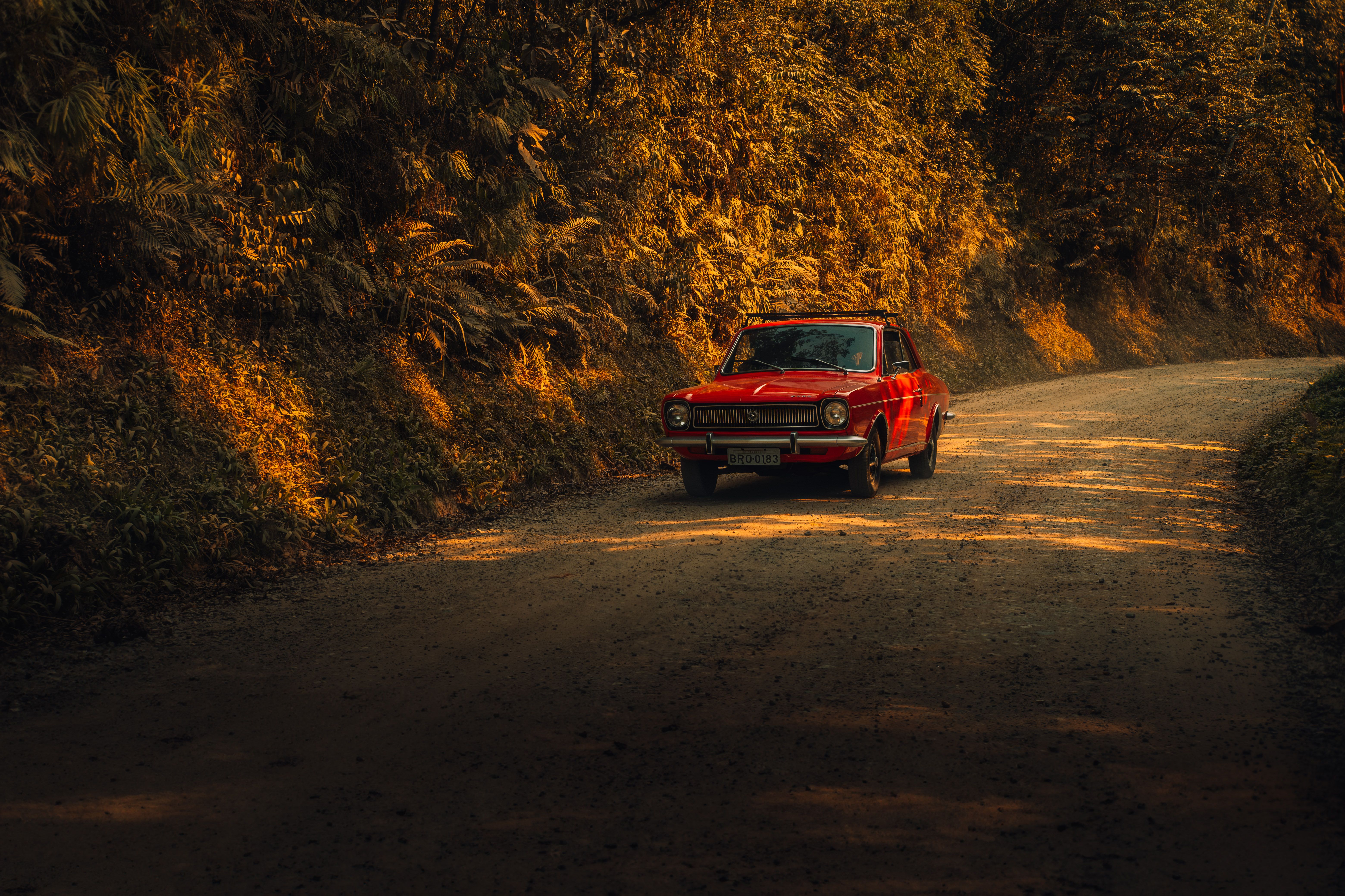 A red car driving down a dirt road in the woods · Free Stock Photo