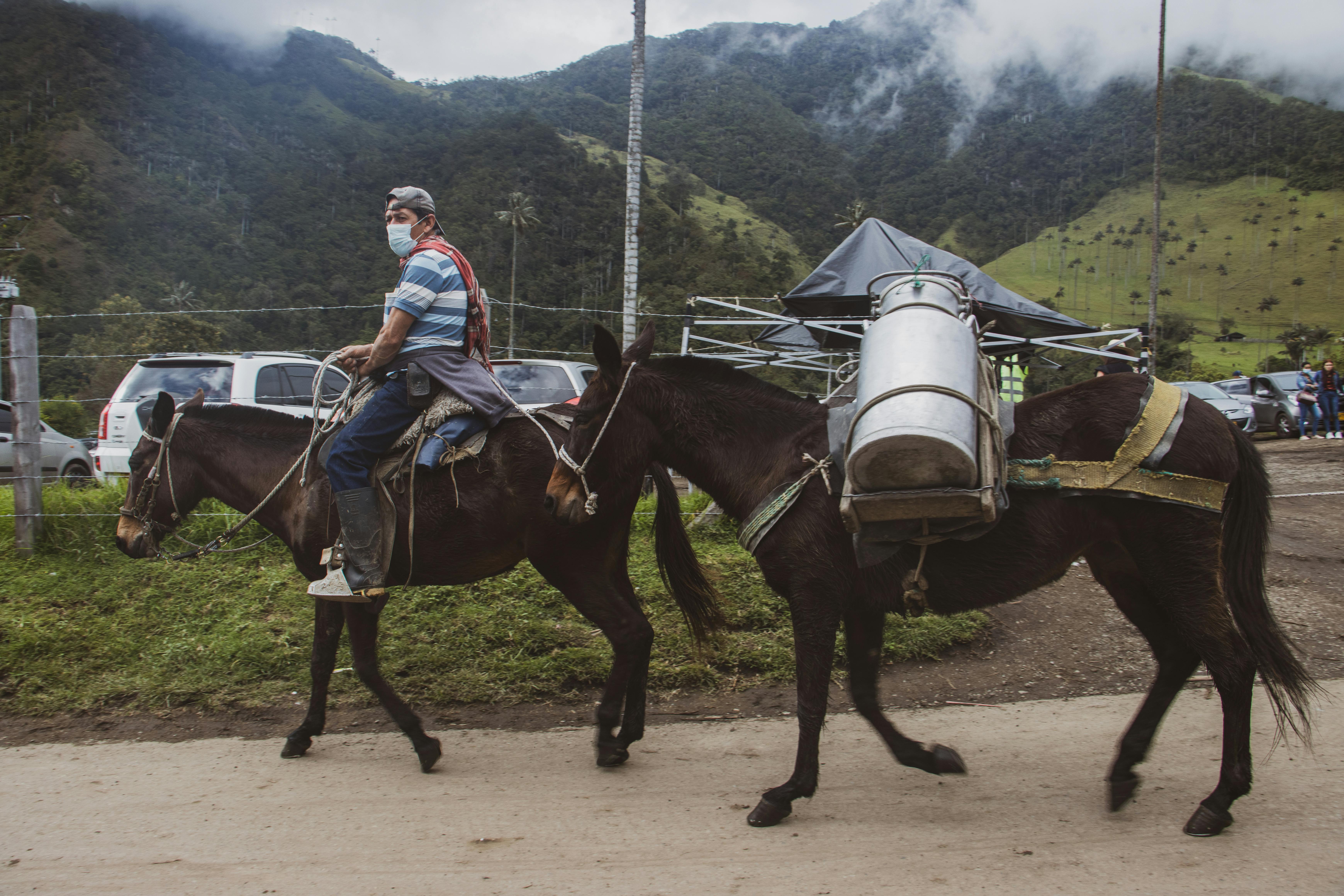 Foto de stock gratuita sobre agricultor, agricultura, al aire libre ...