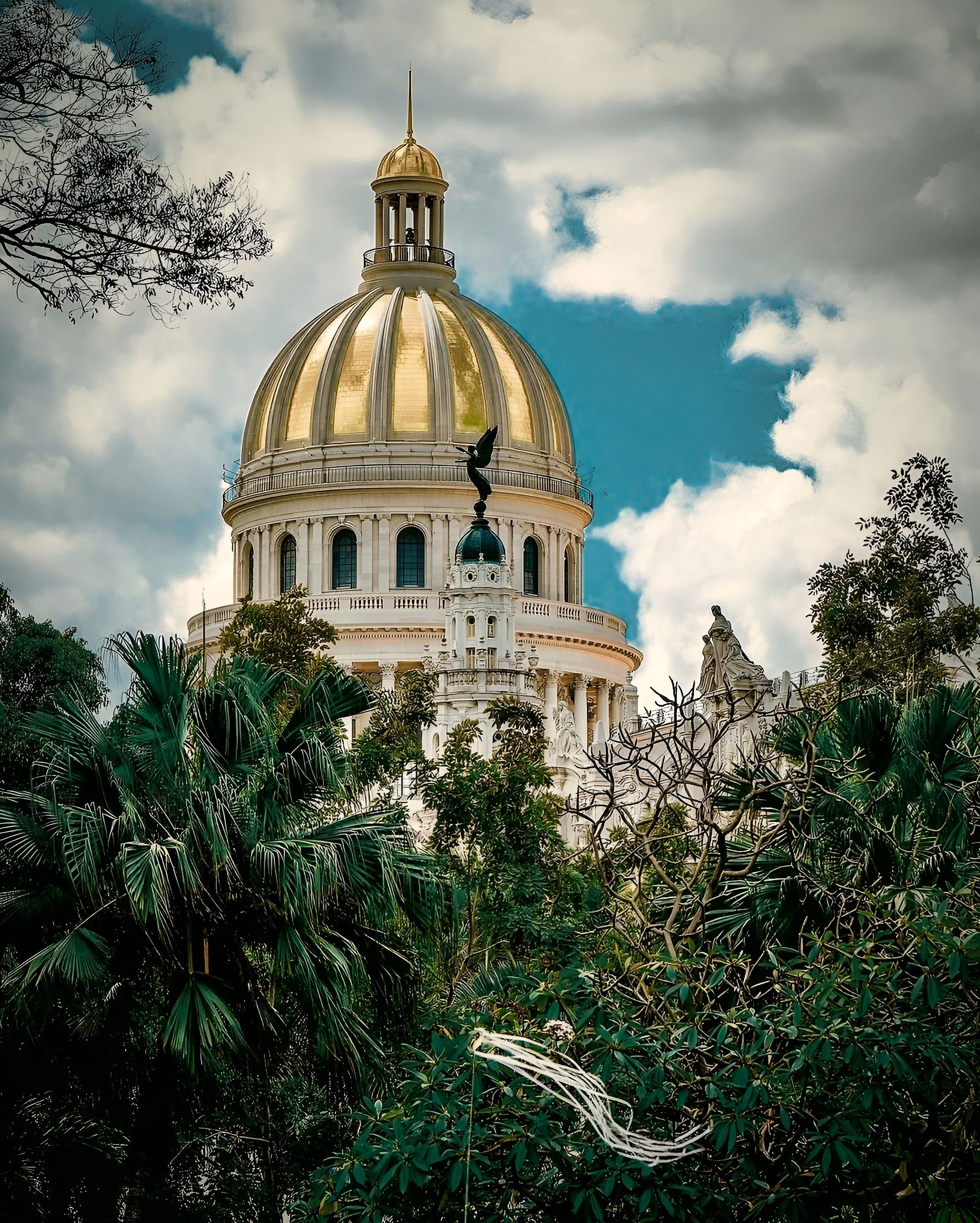 Foto de stock gratuita sobre américa del norte, arboles, arquitectura ...