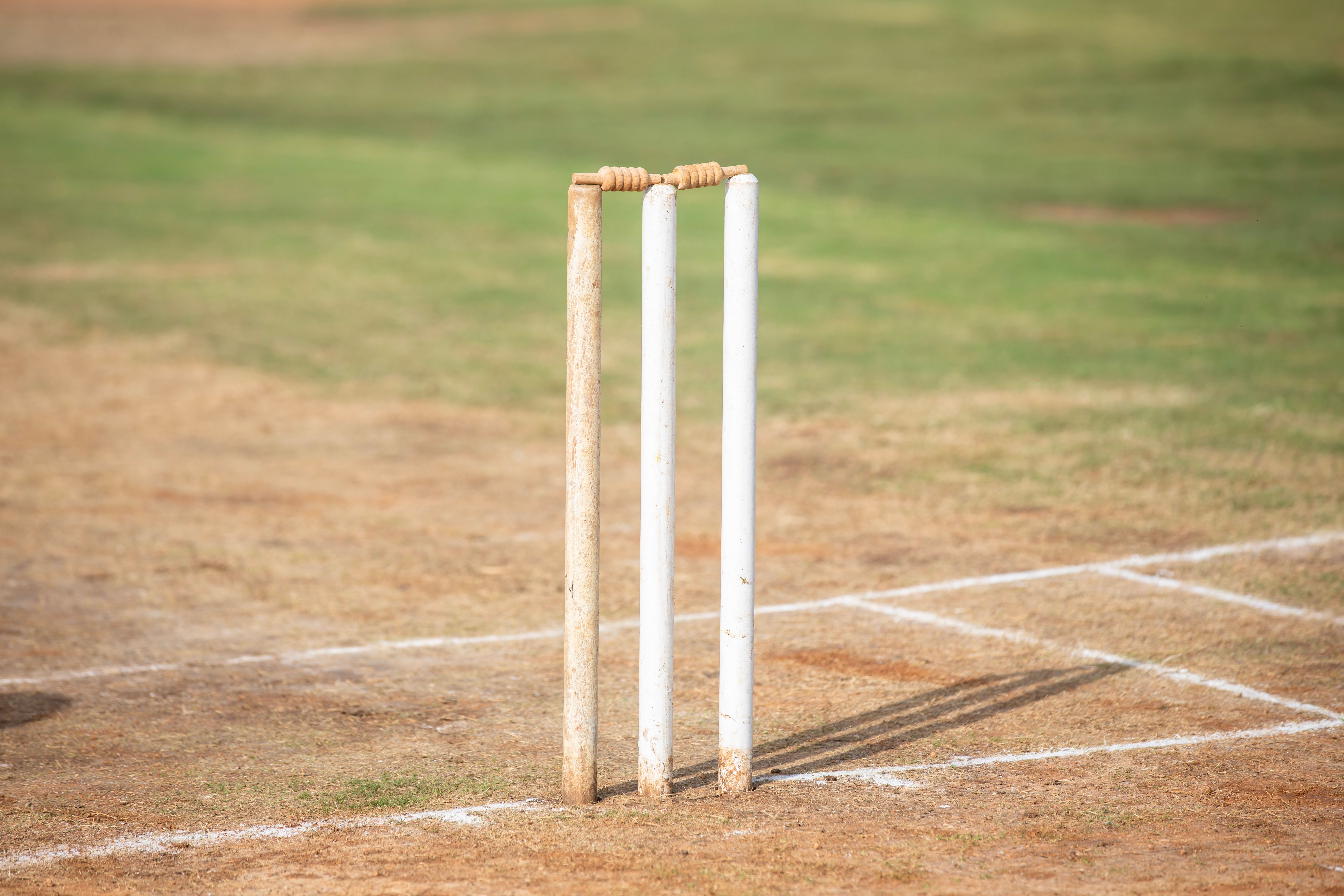 Man Kissing a Cricket Bat · Free Stock Photo