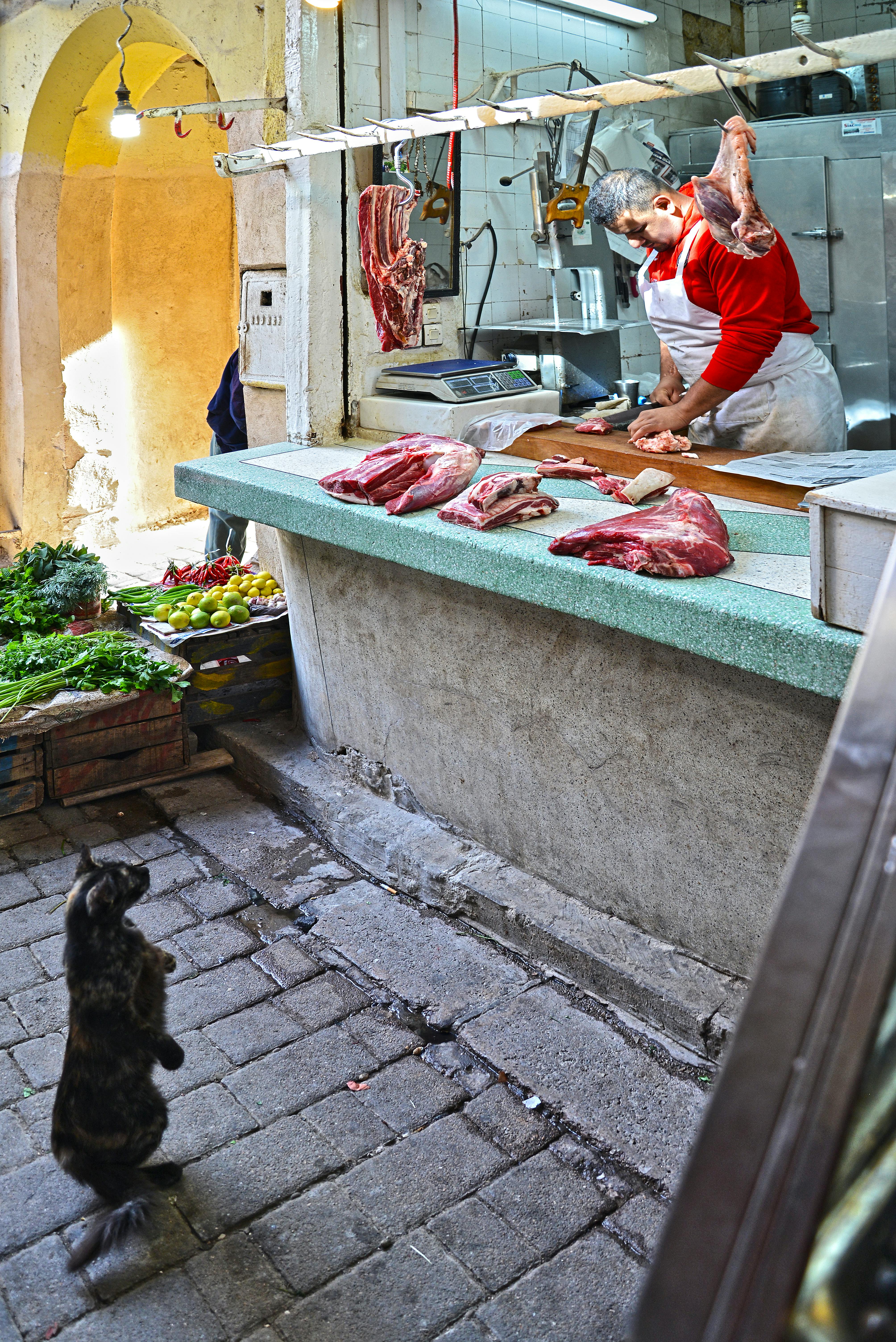 Animal Butchery Photos, Download The BEST Free Animal Butchery Stock ...