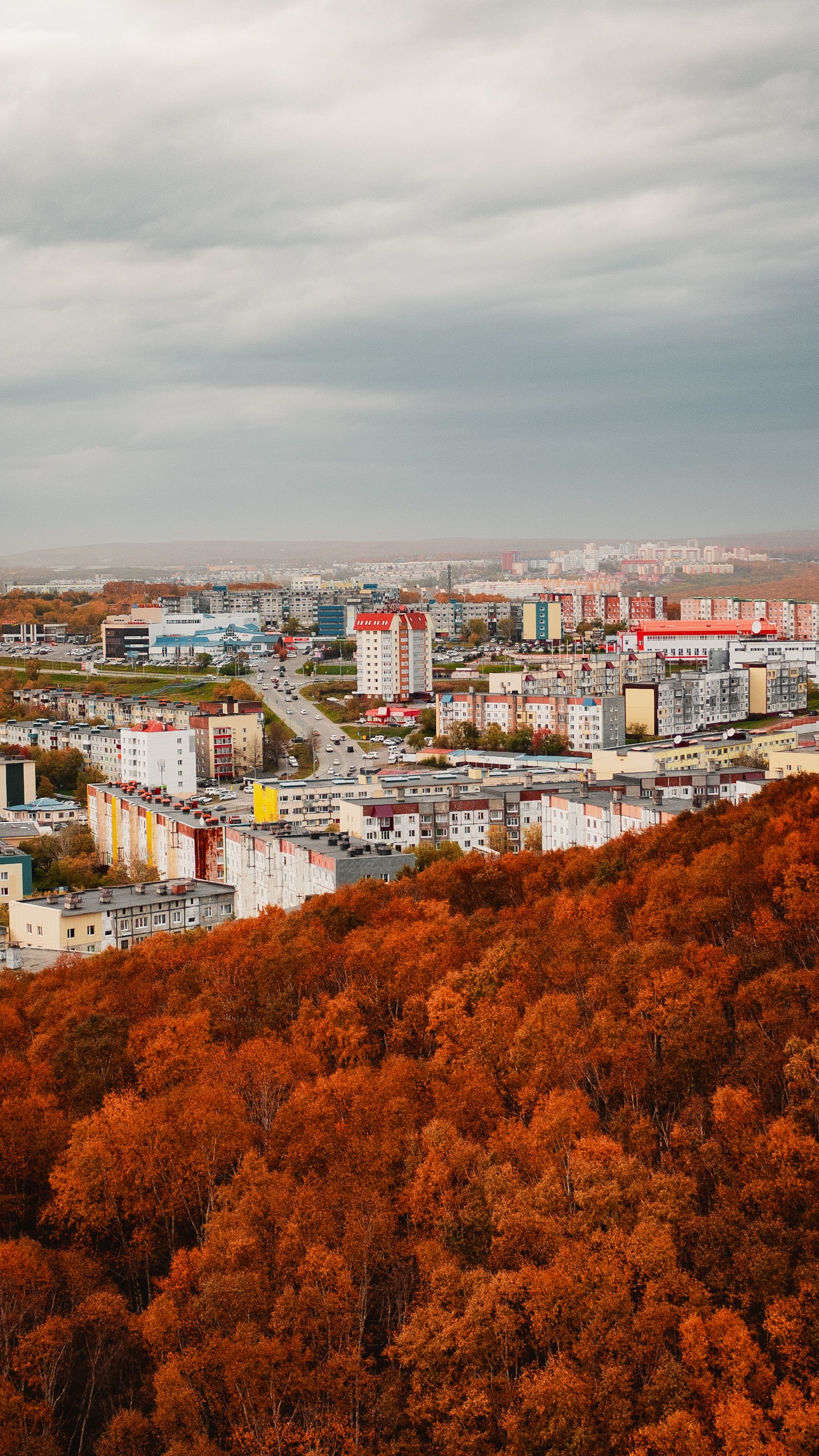An aerial view of a city with trees in the fall · Free Stock Photo