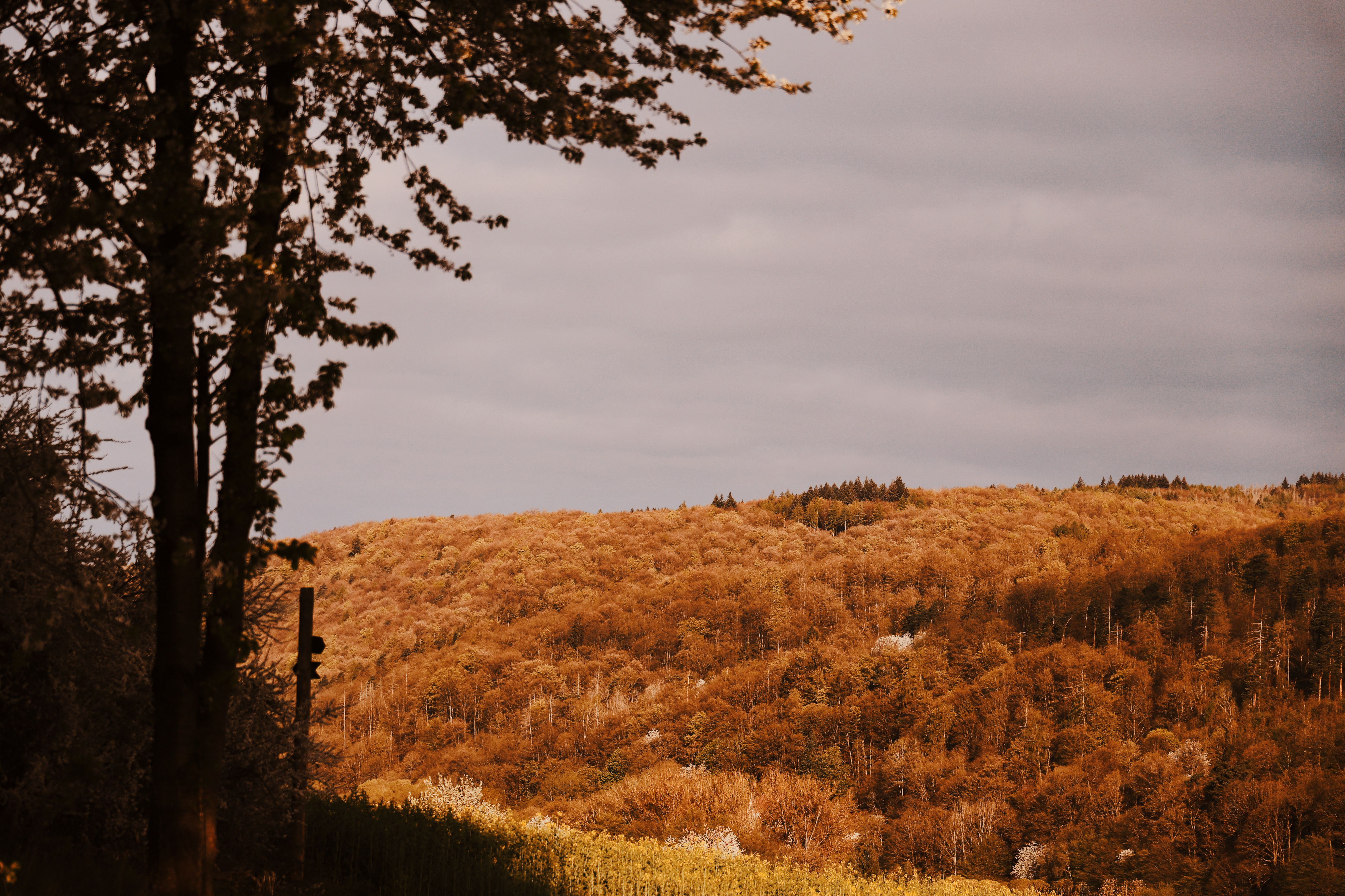 Herbst · Free Stock Photo