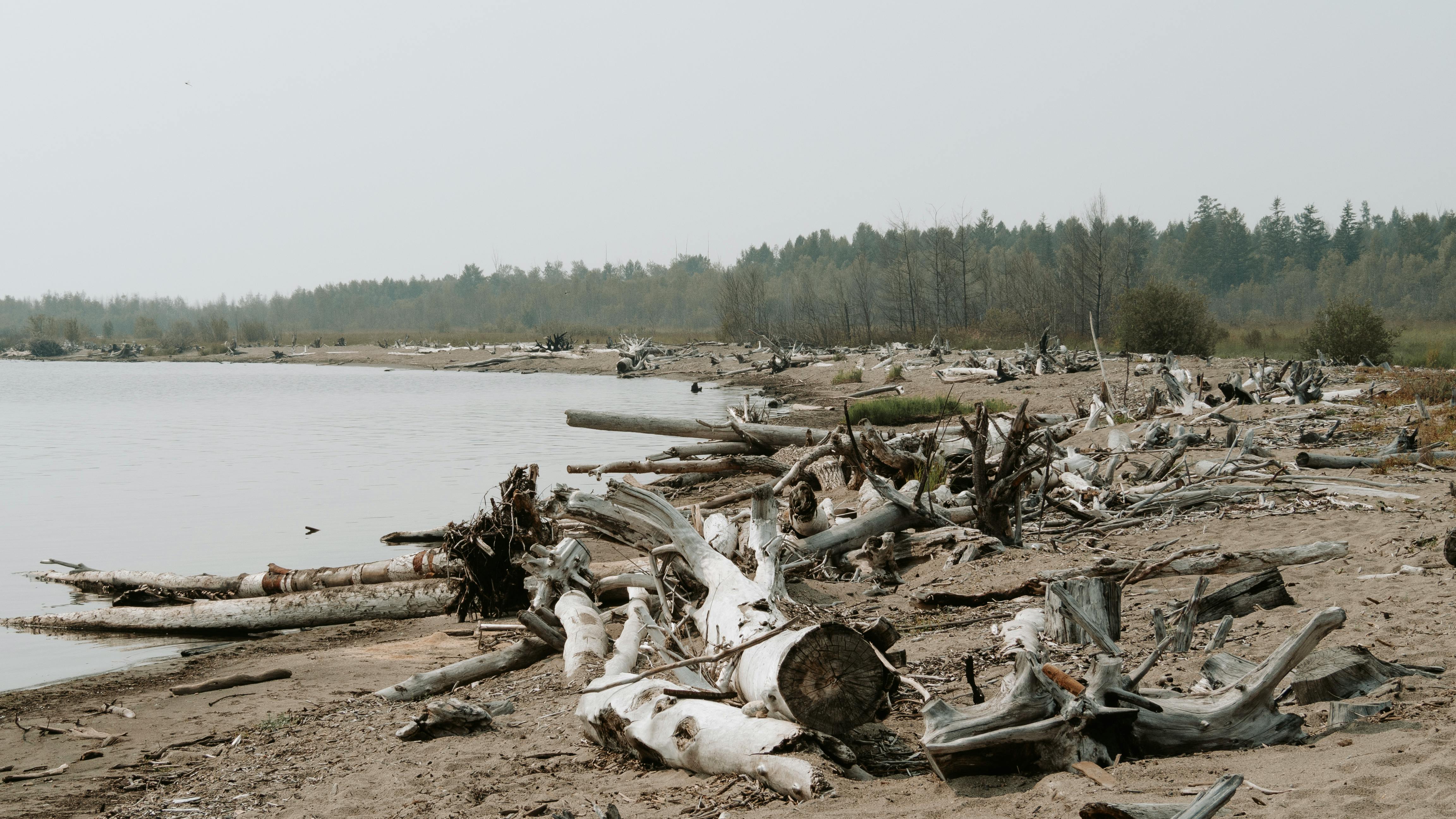 Foto de stock gratuita sobre agua, agua dulce, aislado, al aire libre ...