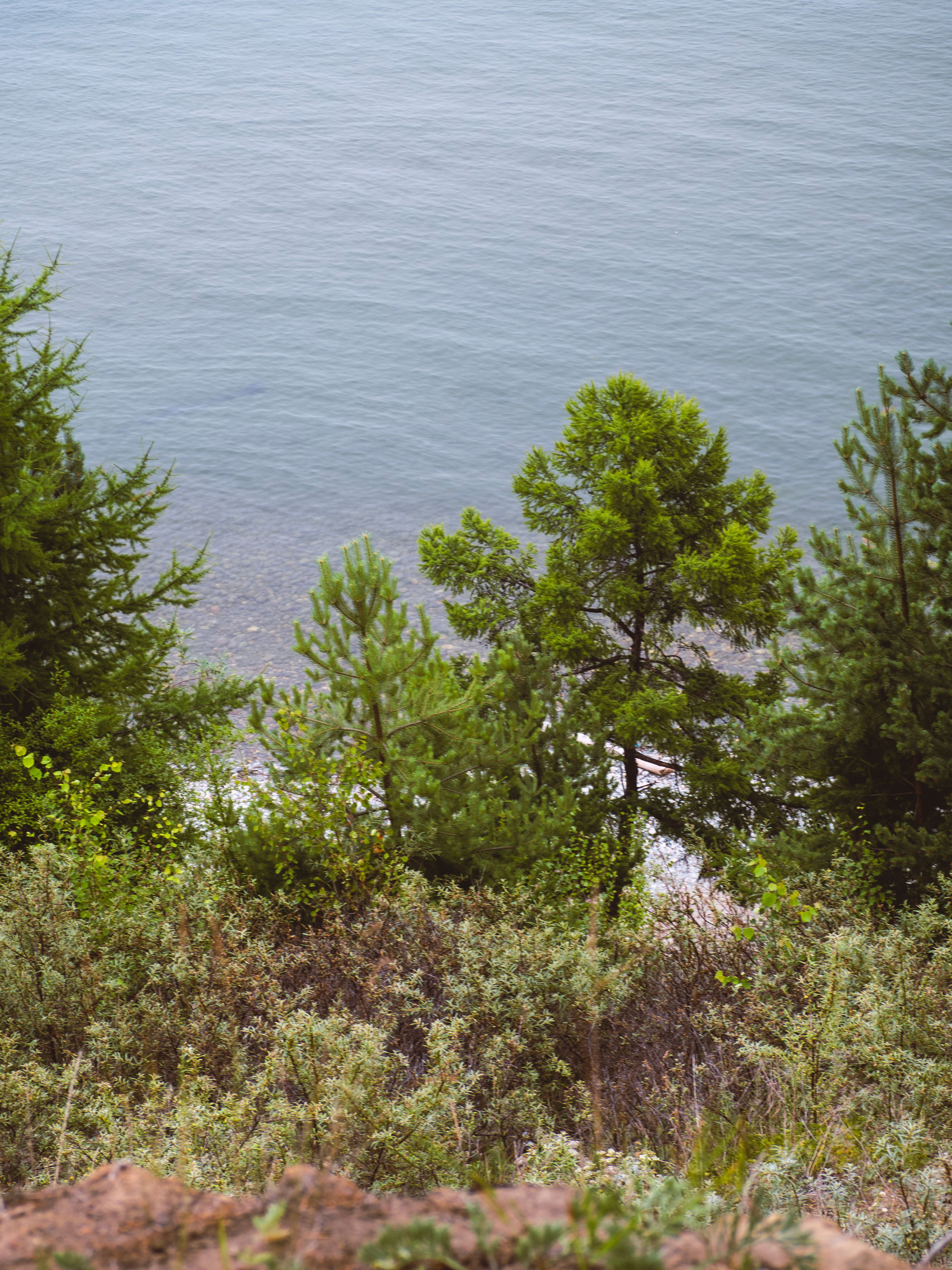 A view of the ocean from a hillside · Free Stock Photo