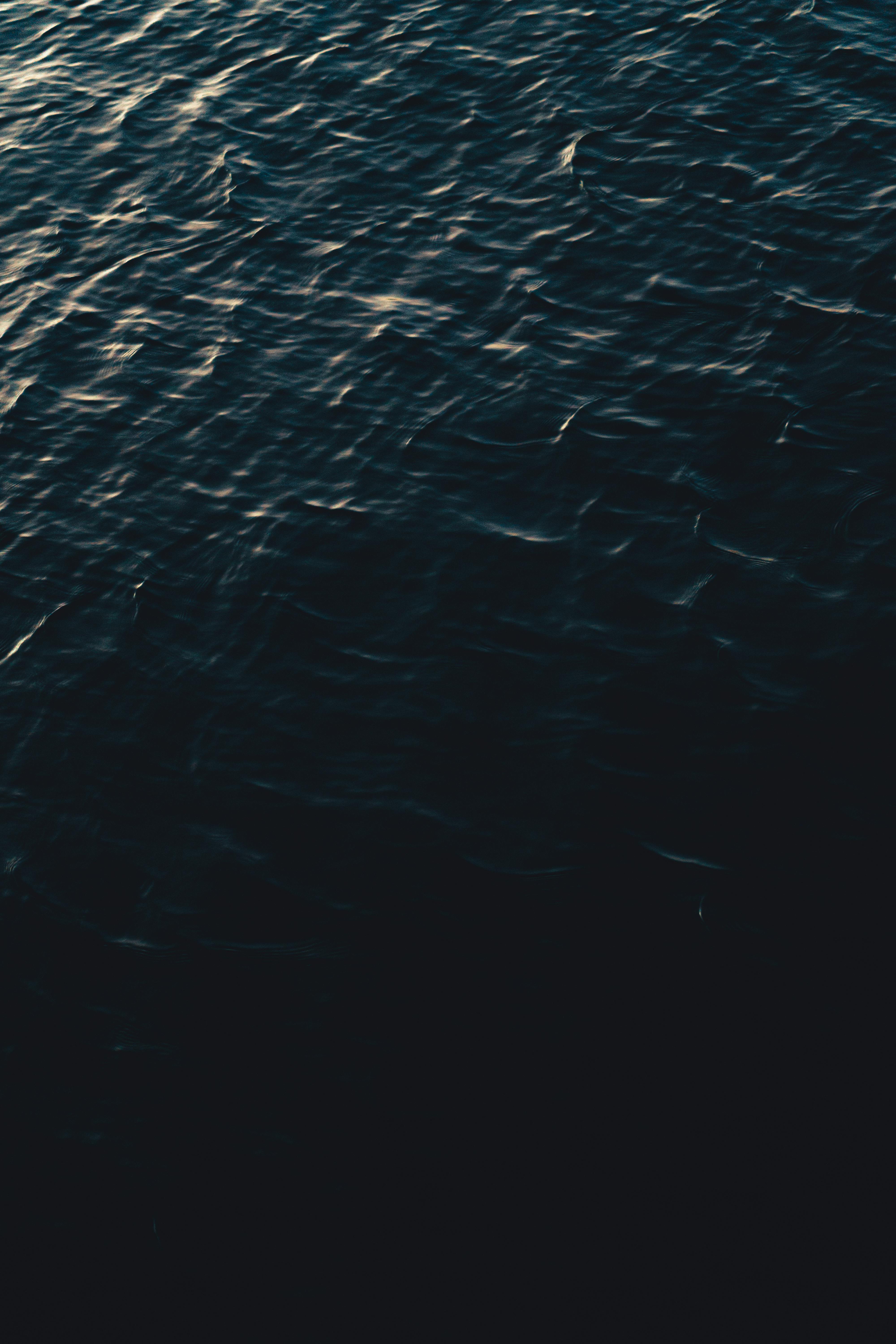 Subtle Movement Photos, Download The BEST Free Subtle Movement Stock ...