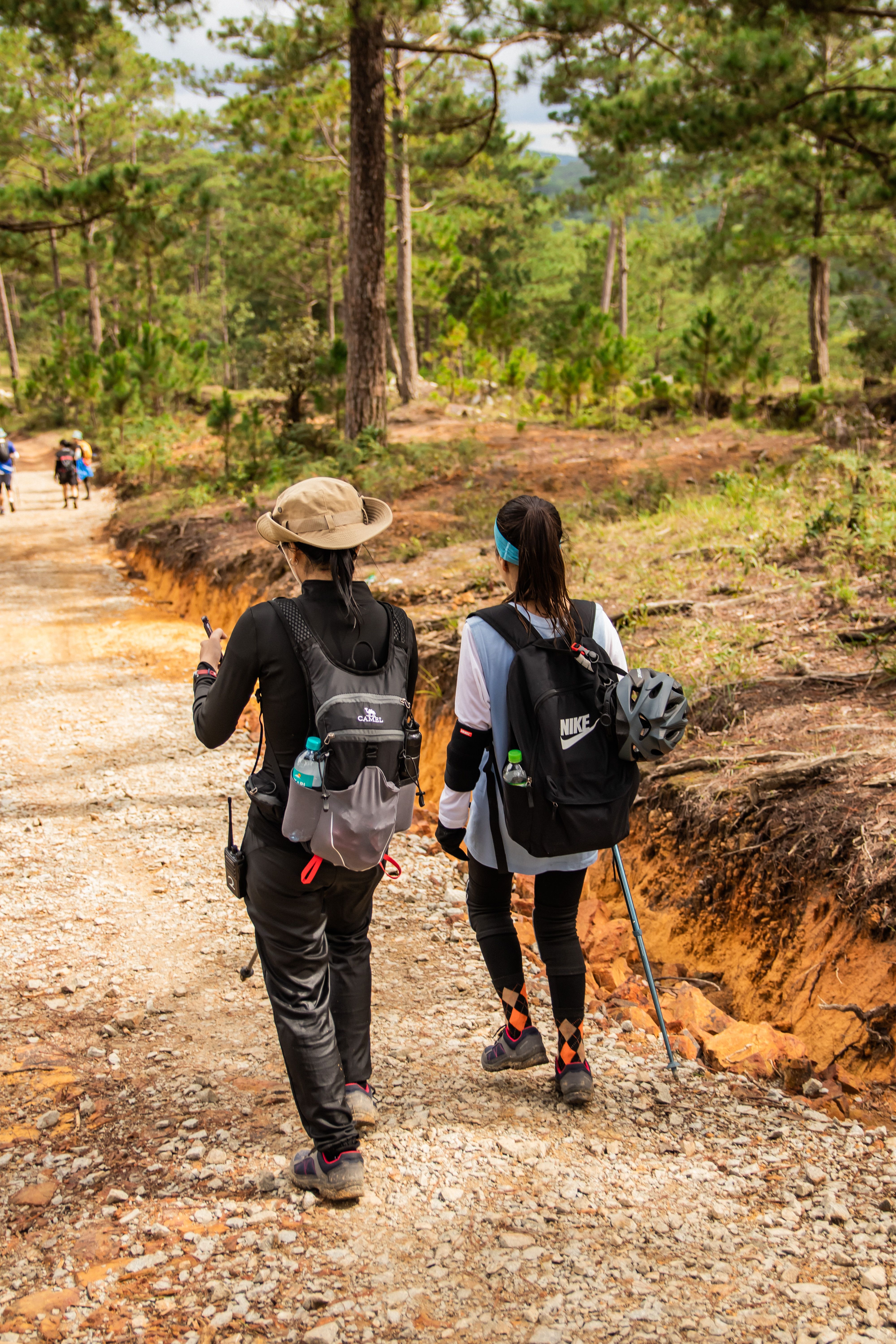 Two Men Carrying Surfboards Walking Along the Forest · Free Stock Photo