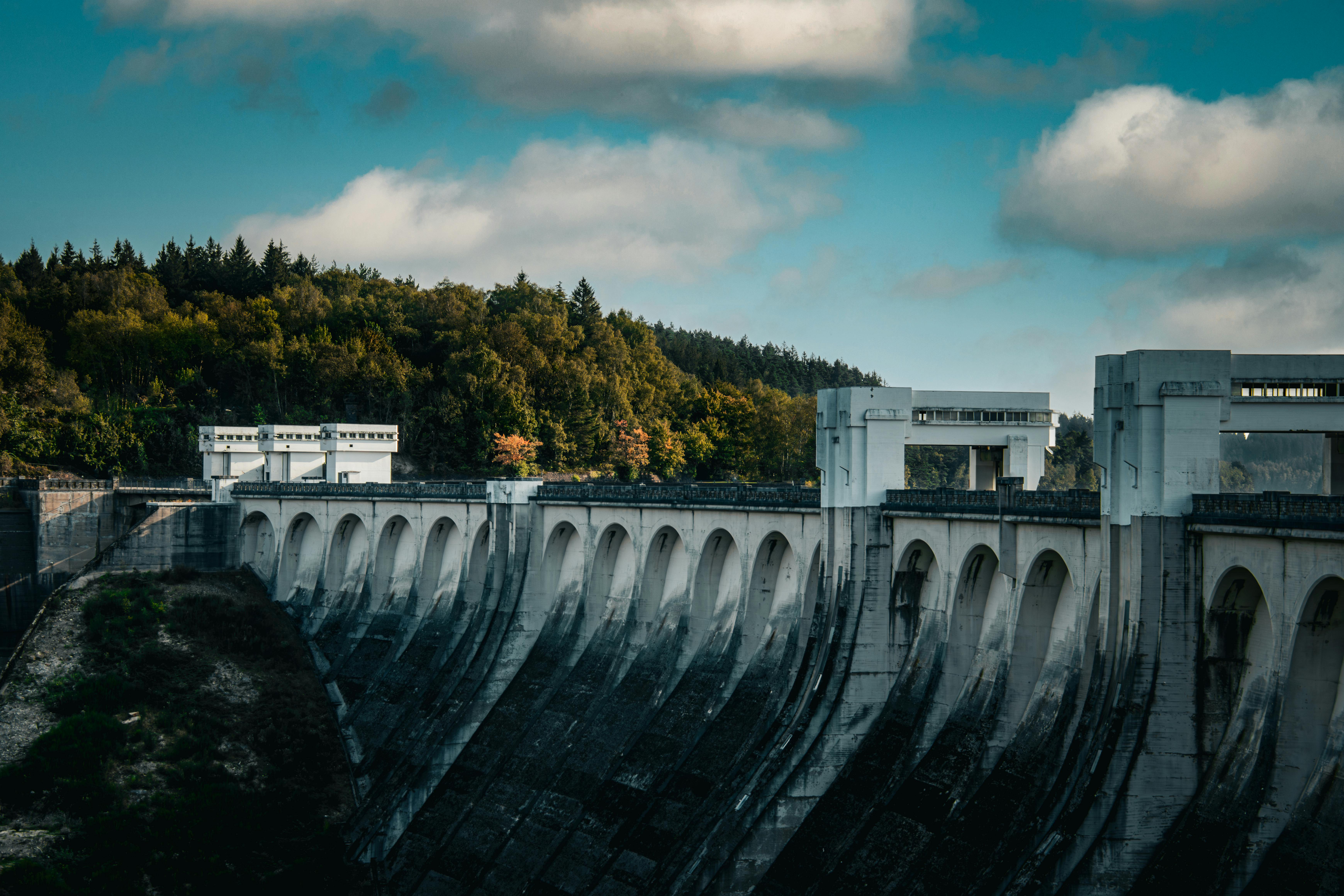 full dam in front of a forest · Free Stock Photo