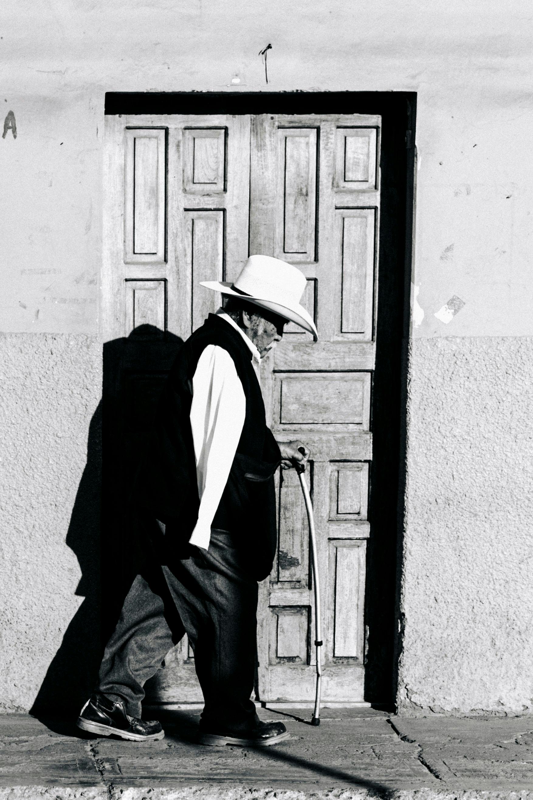 Rod Pohon Photos, Download The BEST Free Rod Pohon Stock Photos & HD Images