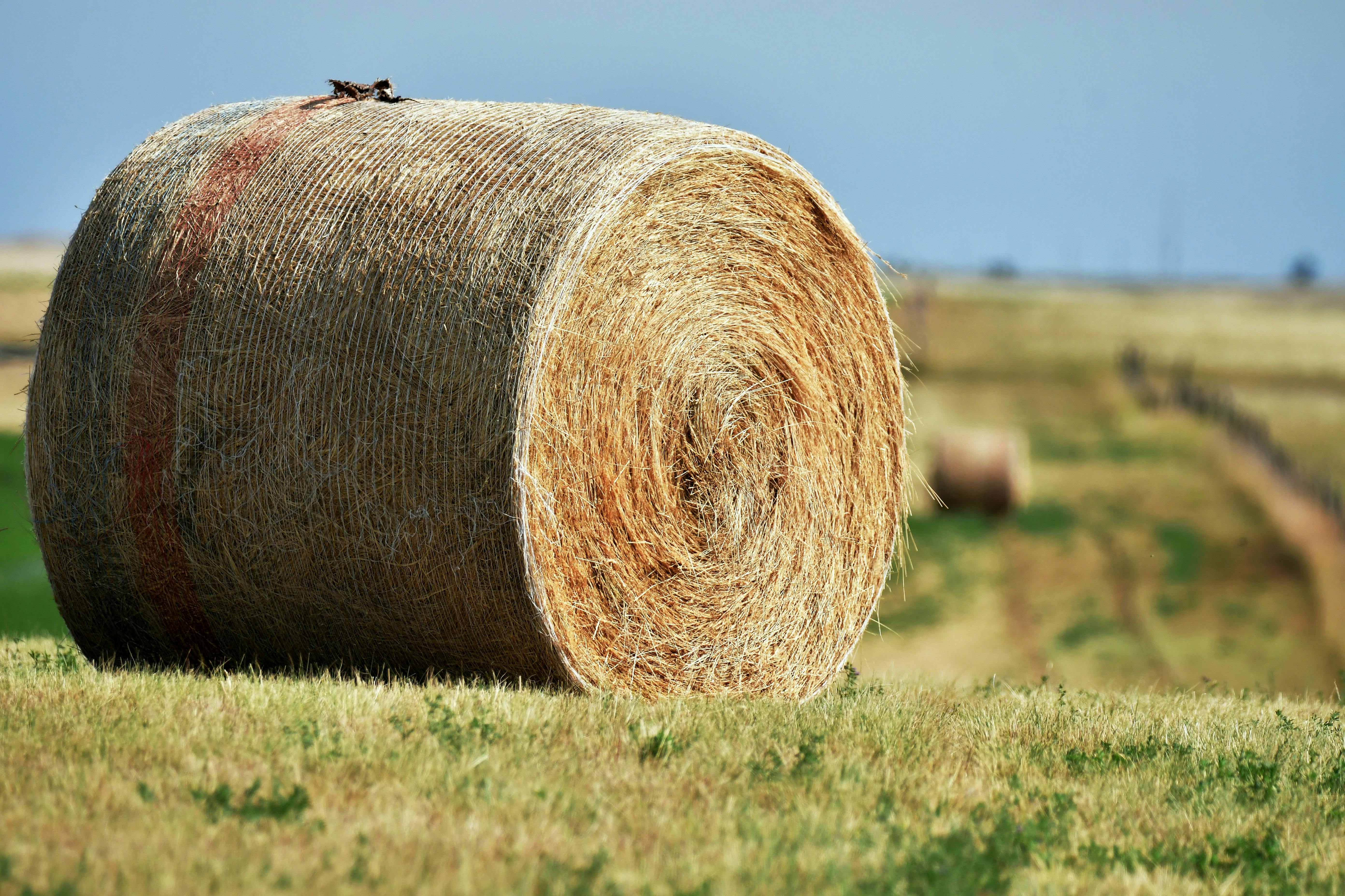 Hay Bale on Field · Free Stock Photo