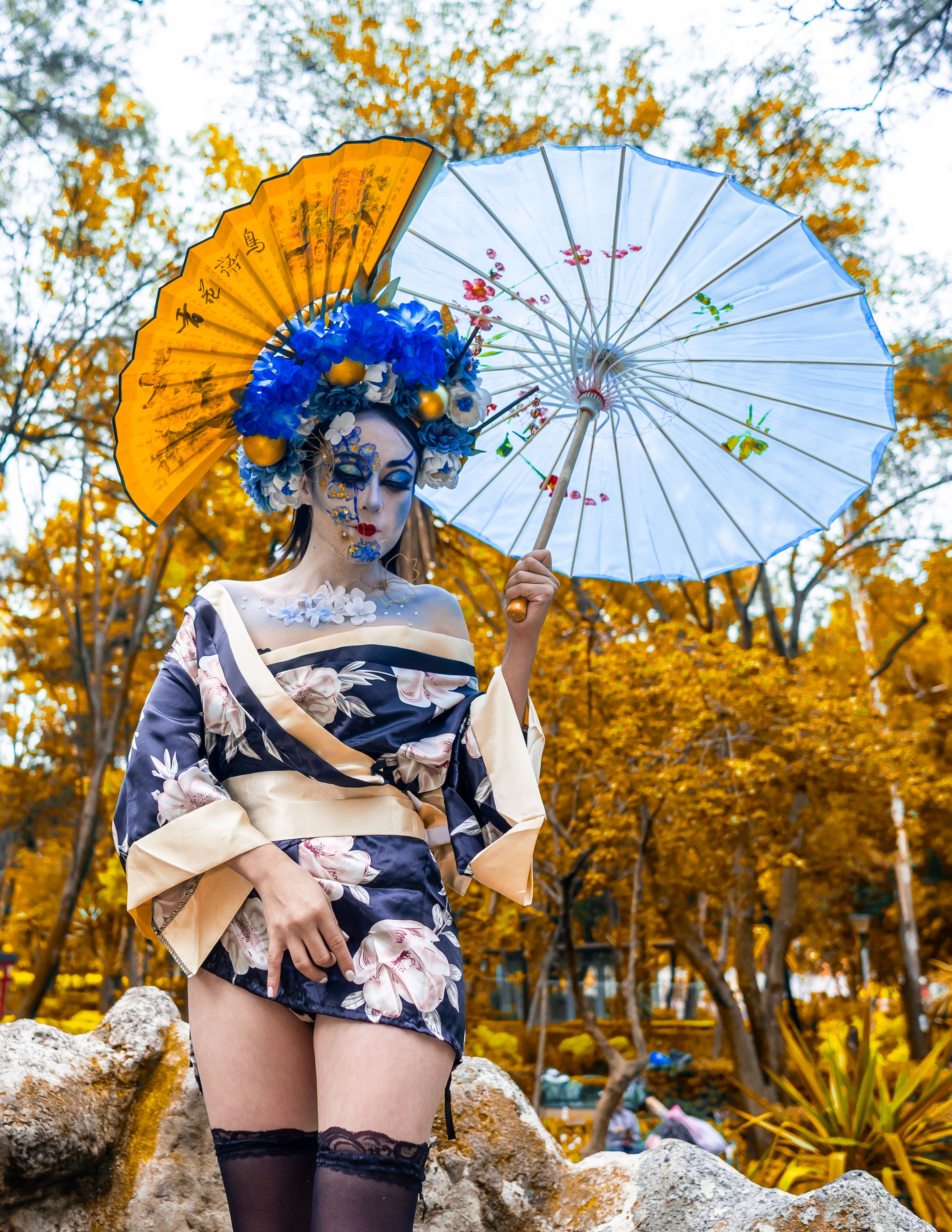 Geisha Blue · Free Stock Photo
