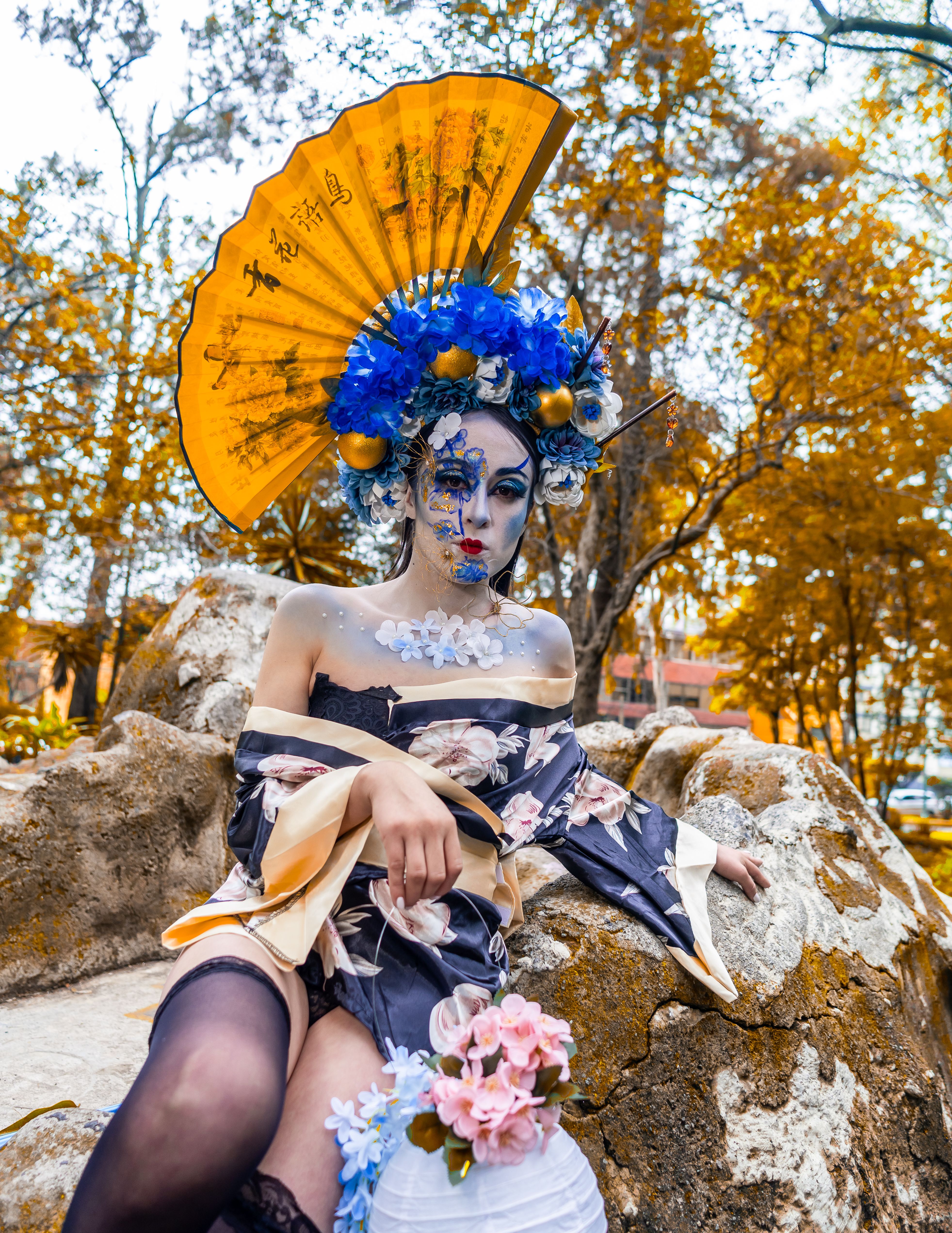 Geisha Blue · Free Stock Photo