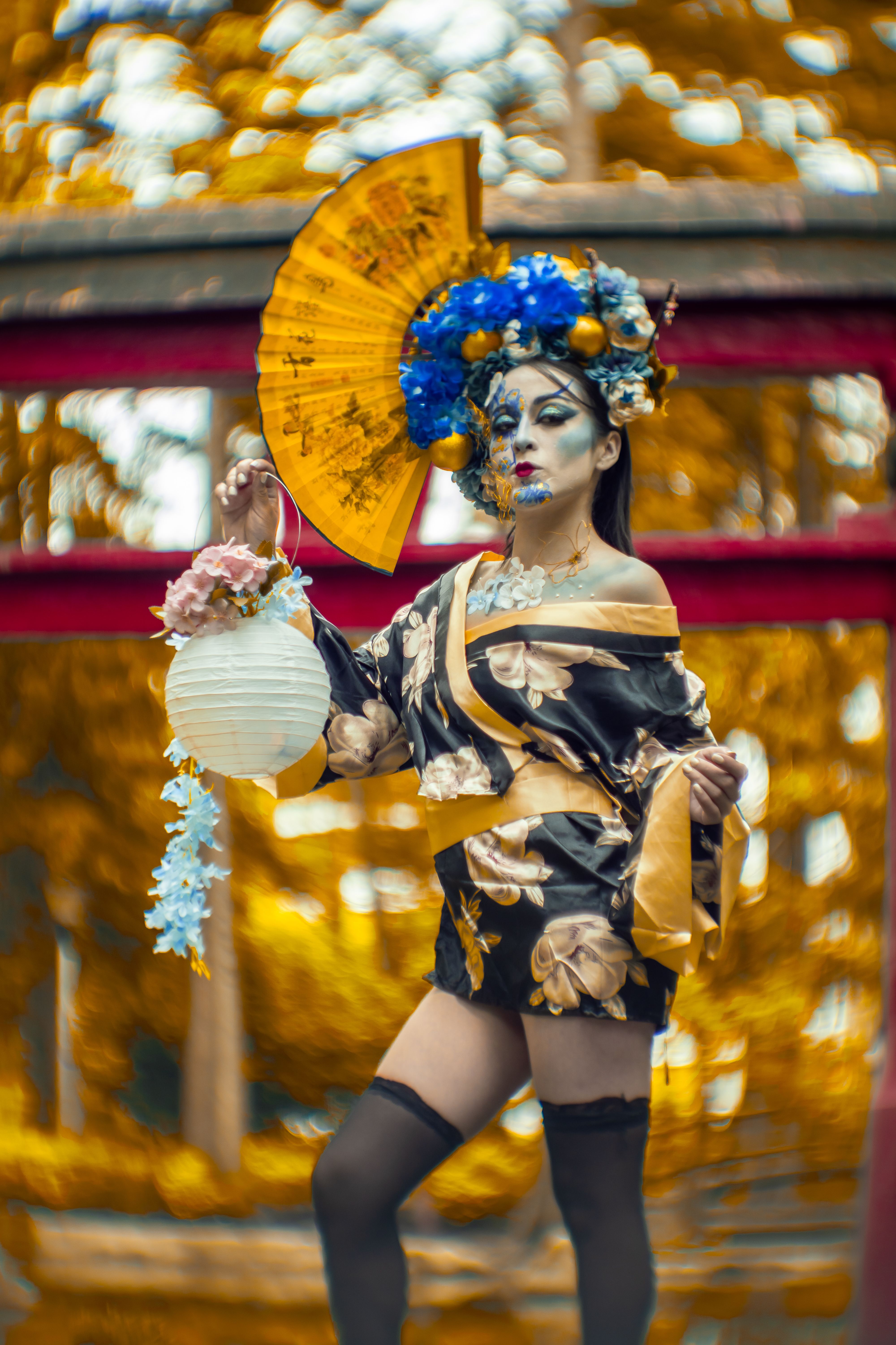 Geisha Blue · Free Stock Photo
