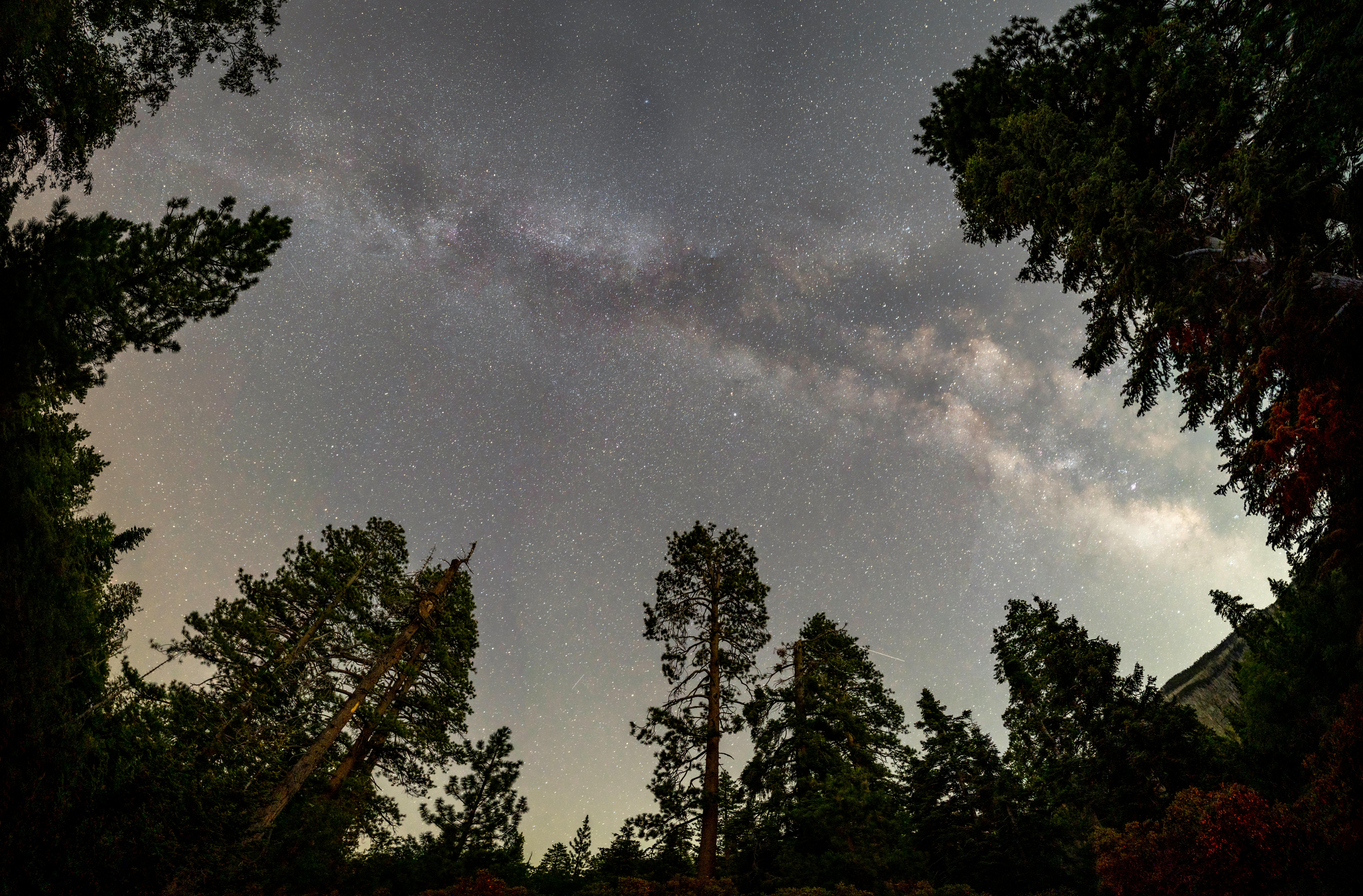 Angelus Photos, Download The BEST Free Angelus Stock Photos & HD Images