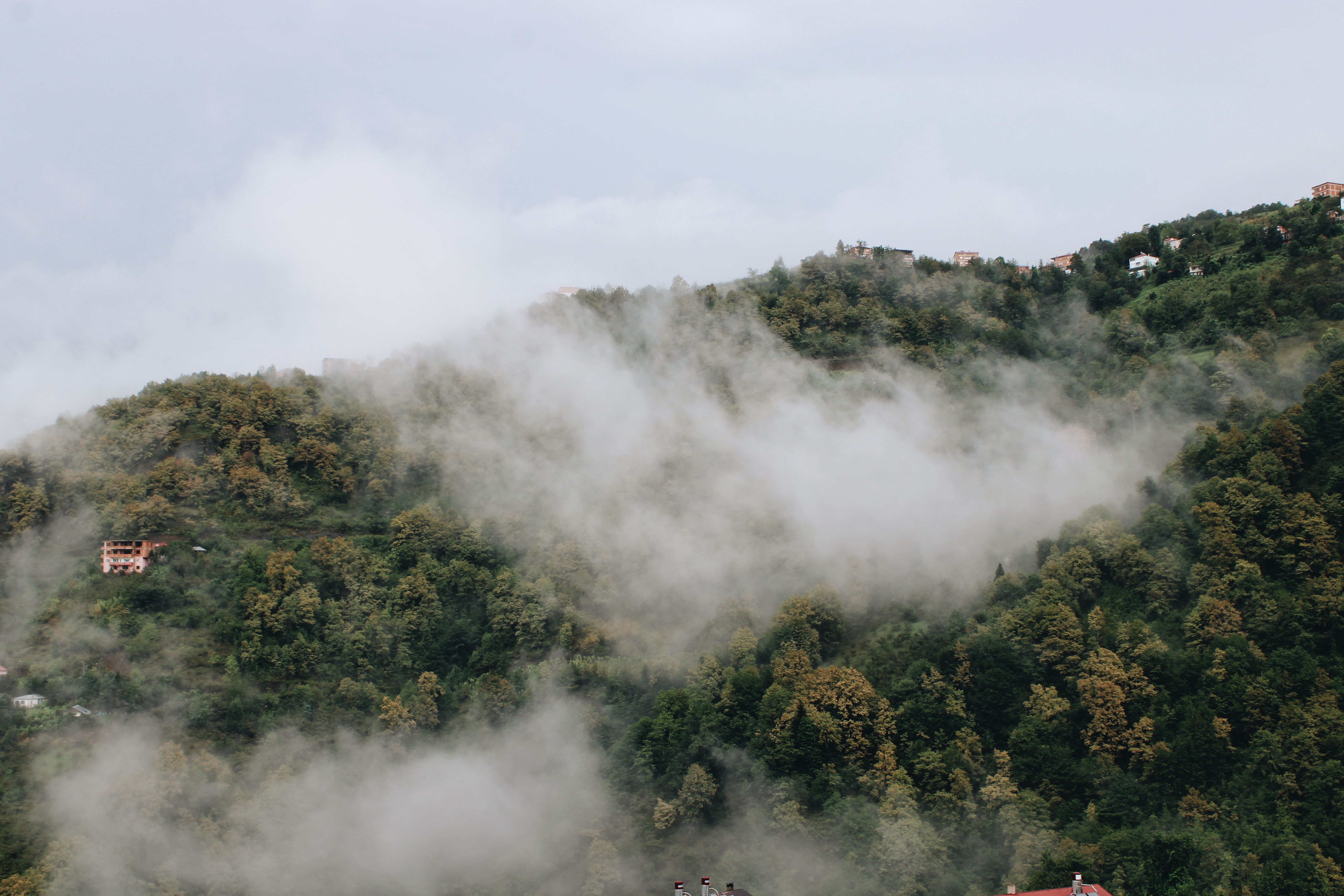 Houses on the Hillside · Free Stock Photo